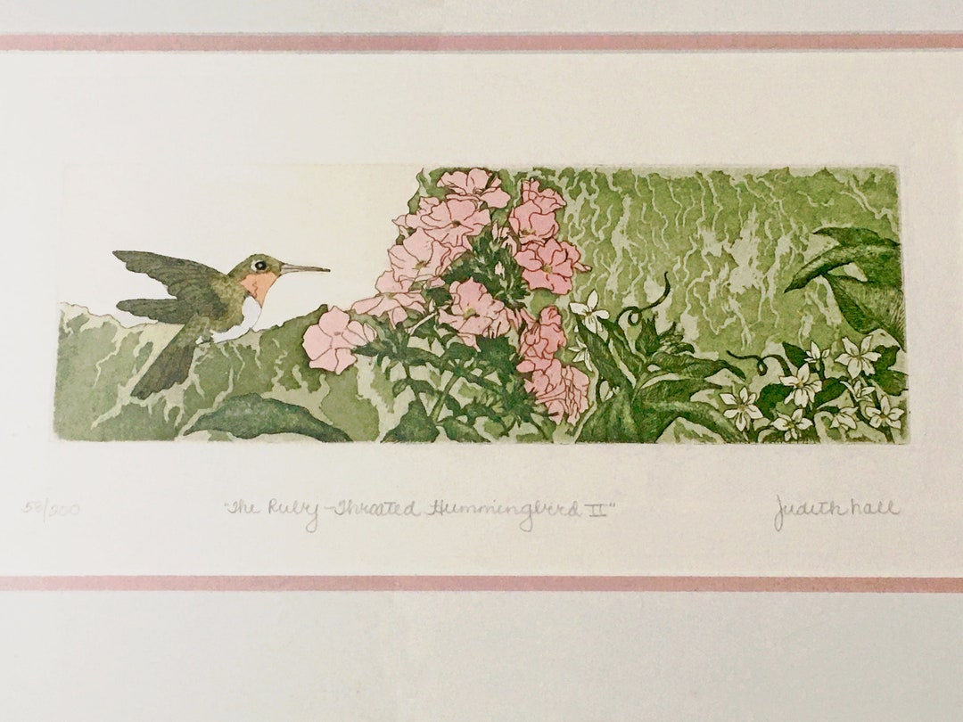 Judith Hall ~ the Ruby Throated Hummingbird II Signed Limited Edition ...