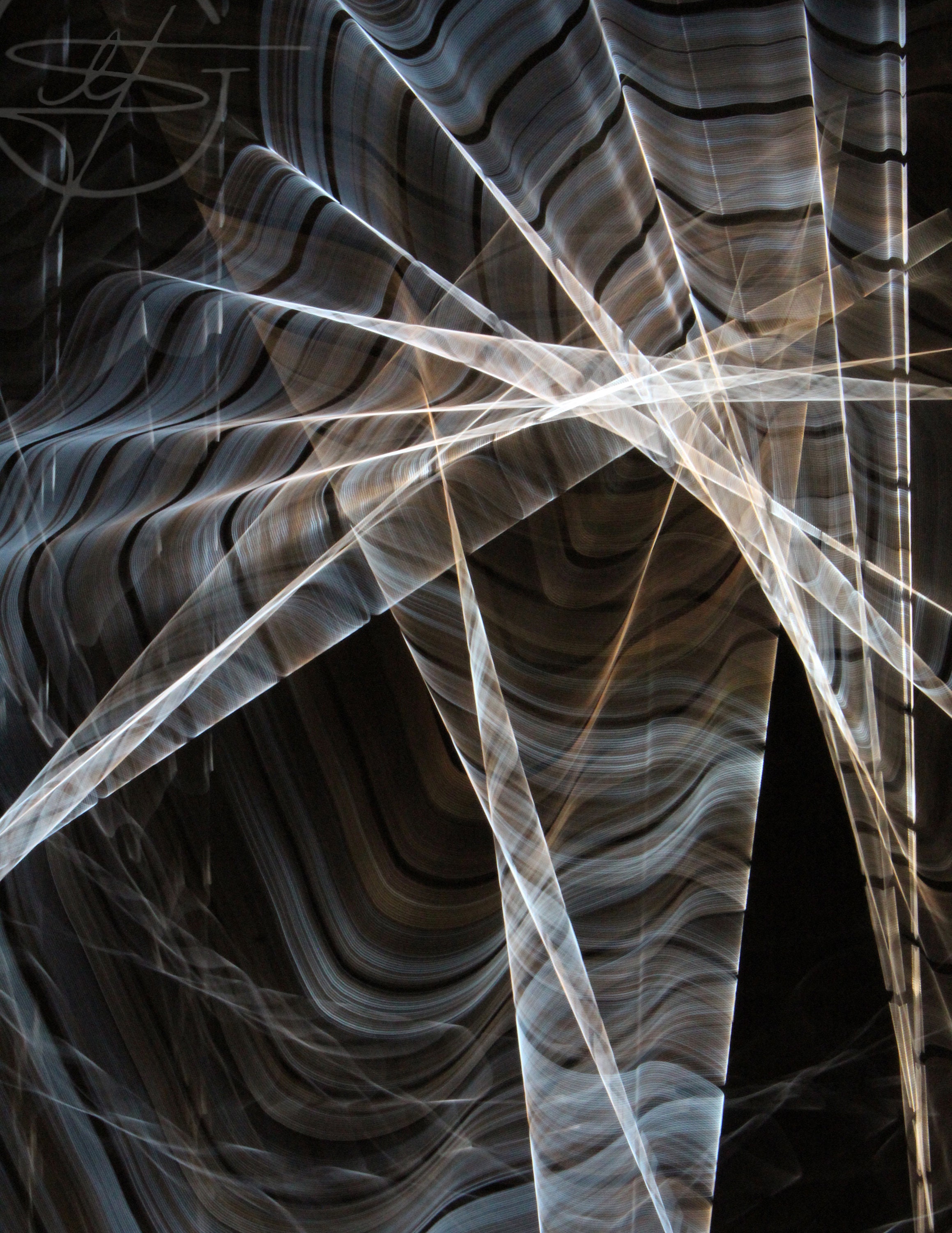 Lionfish Blind Photo Series: Cave - Etsy