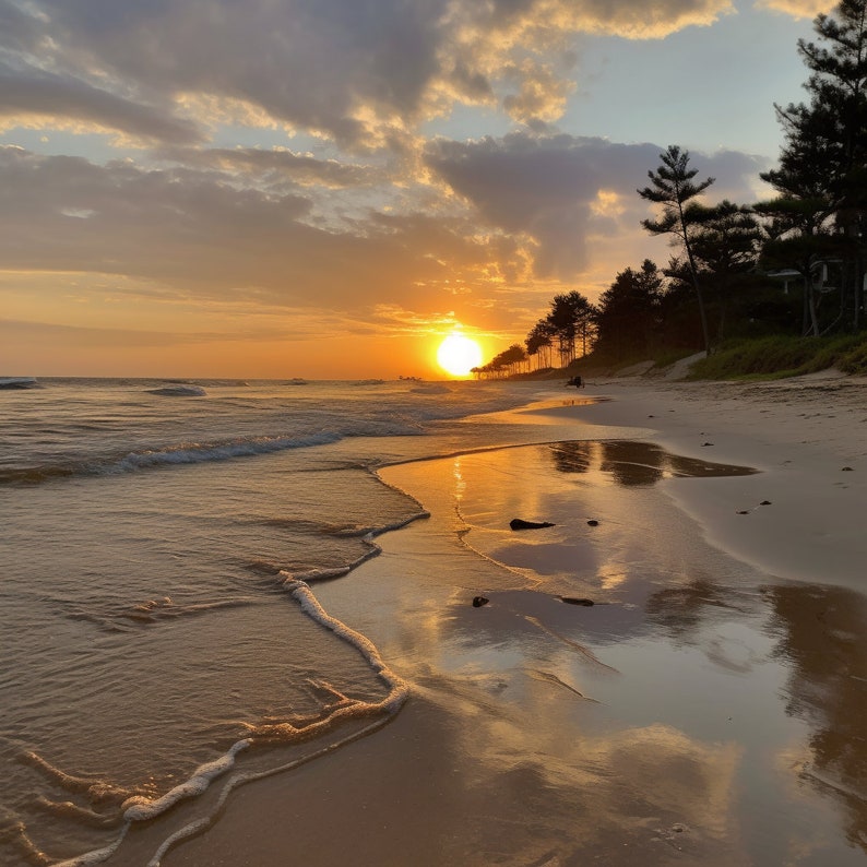 Tropical Beach Sunrise and Sunset Digital Images Art - Etsy
