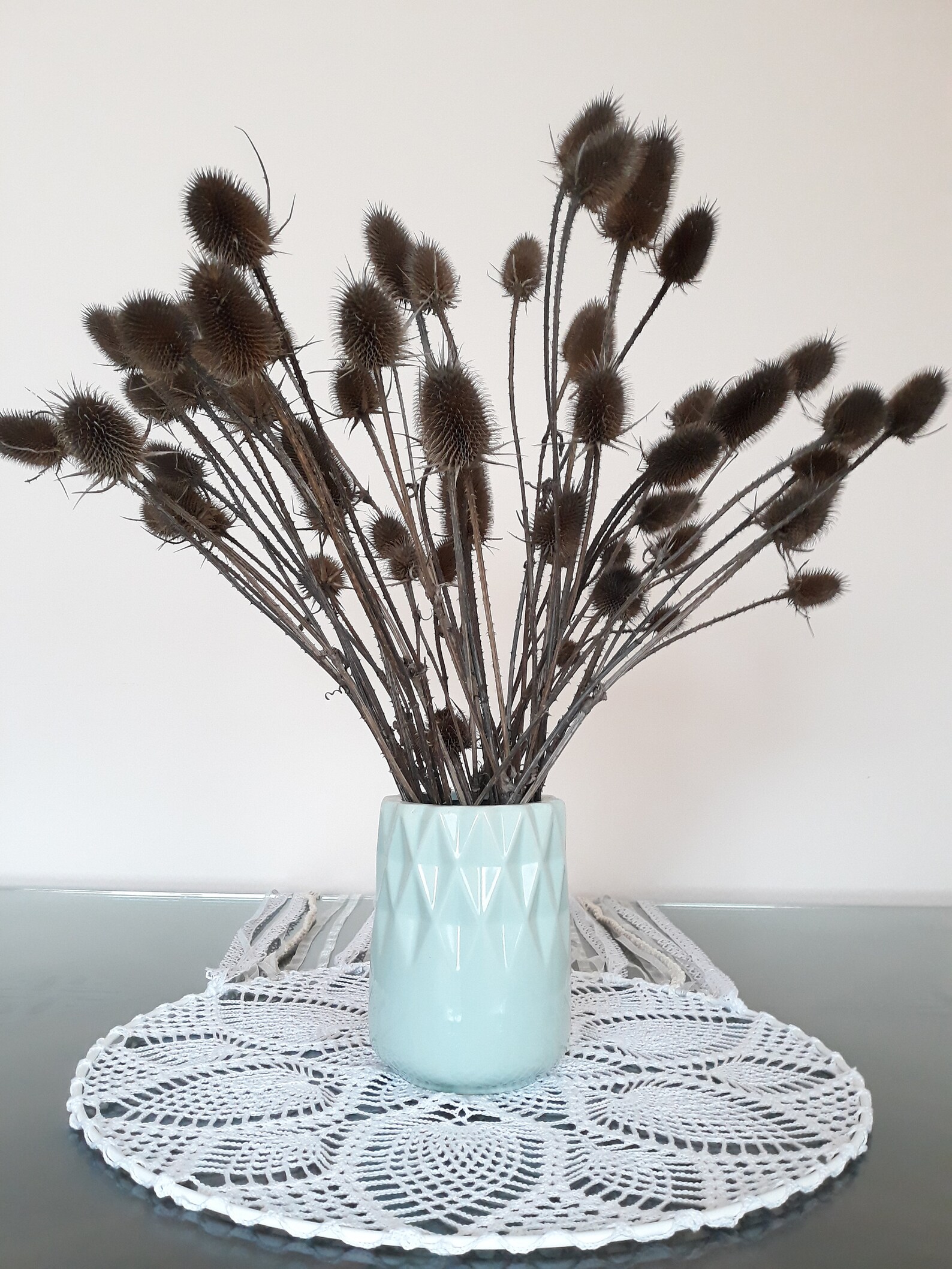 20 Dried Teasel Stems 20-23/ Bunch of Dried Pastel - Etsy