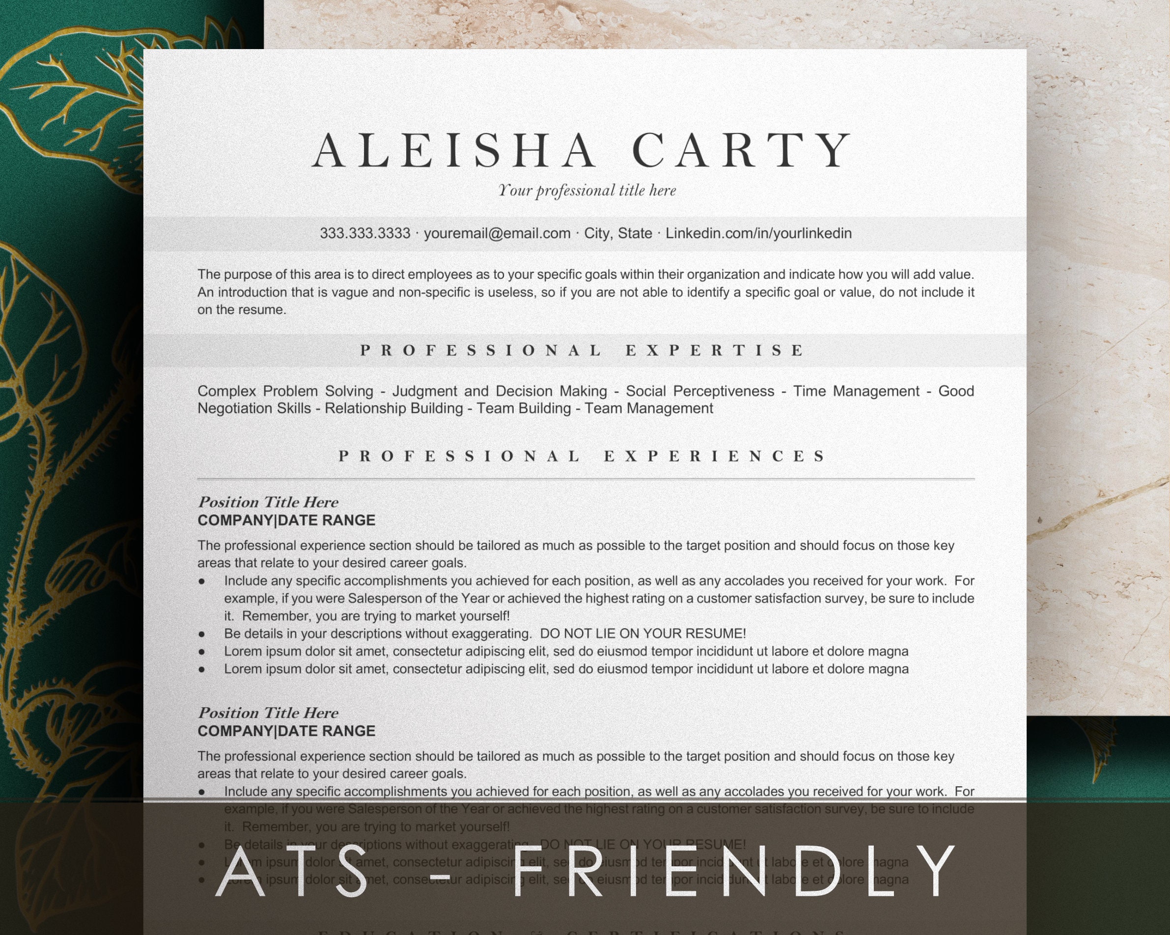 Professional ATS Friendly Resume Template Word and Google Docs, Resume ...