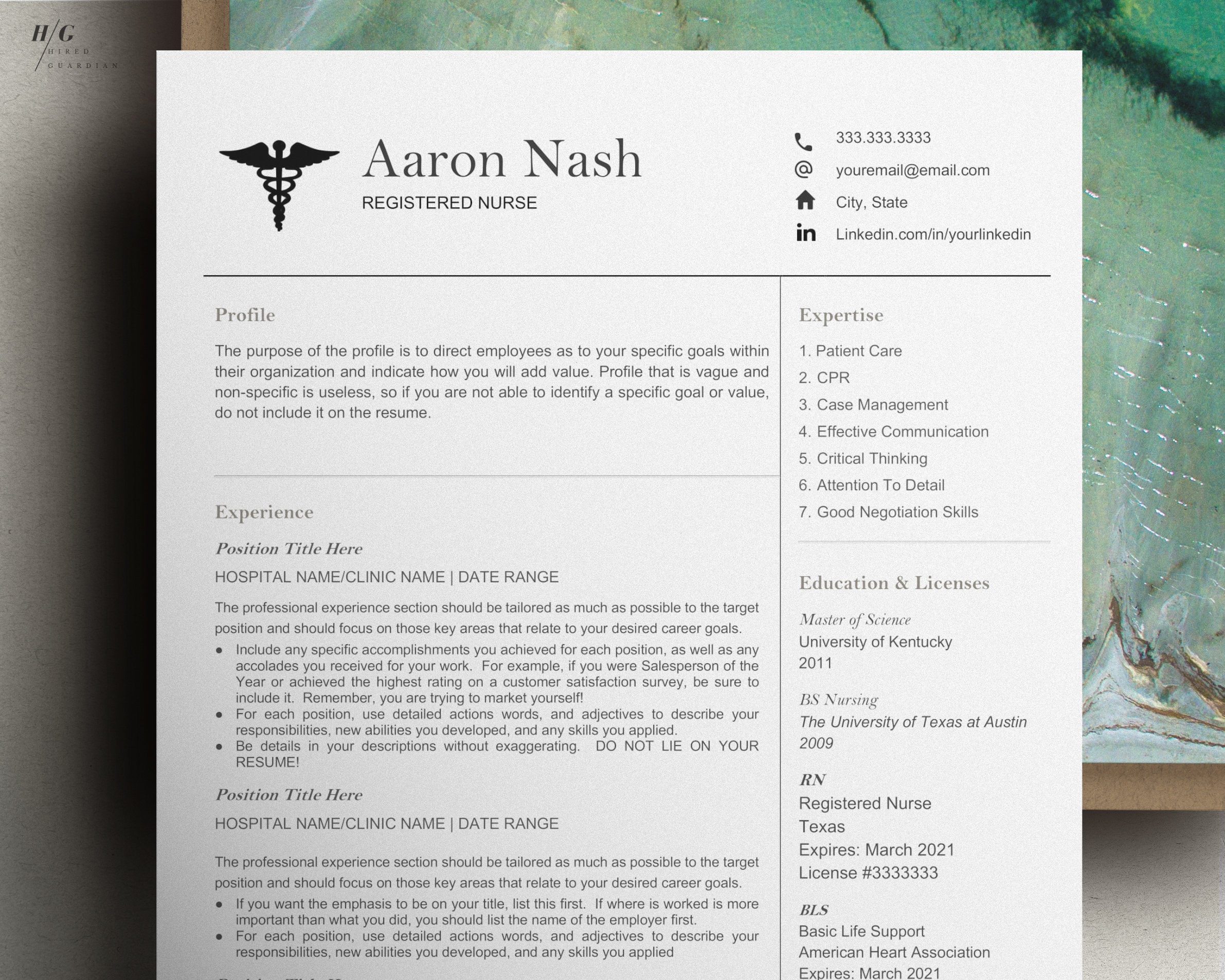 Google Docs Resume Template, Nurse Resume Template, Professional Resume ...