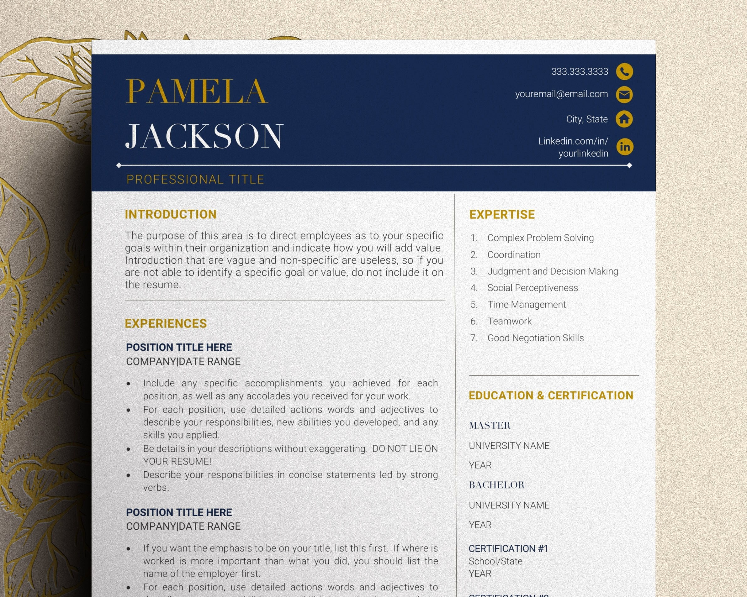 Professional Executive Resume Template 2025, CEO Resume Template for ...