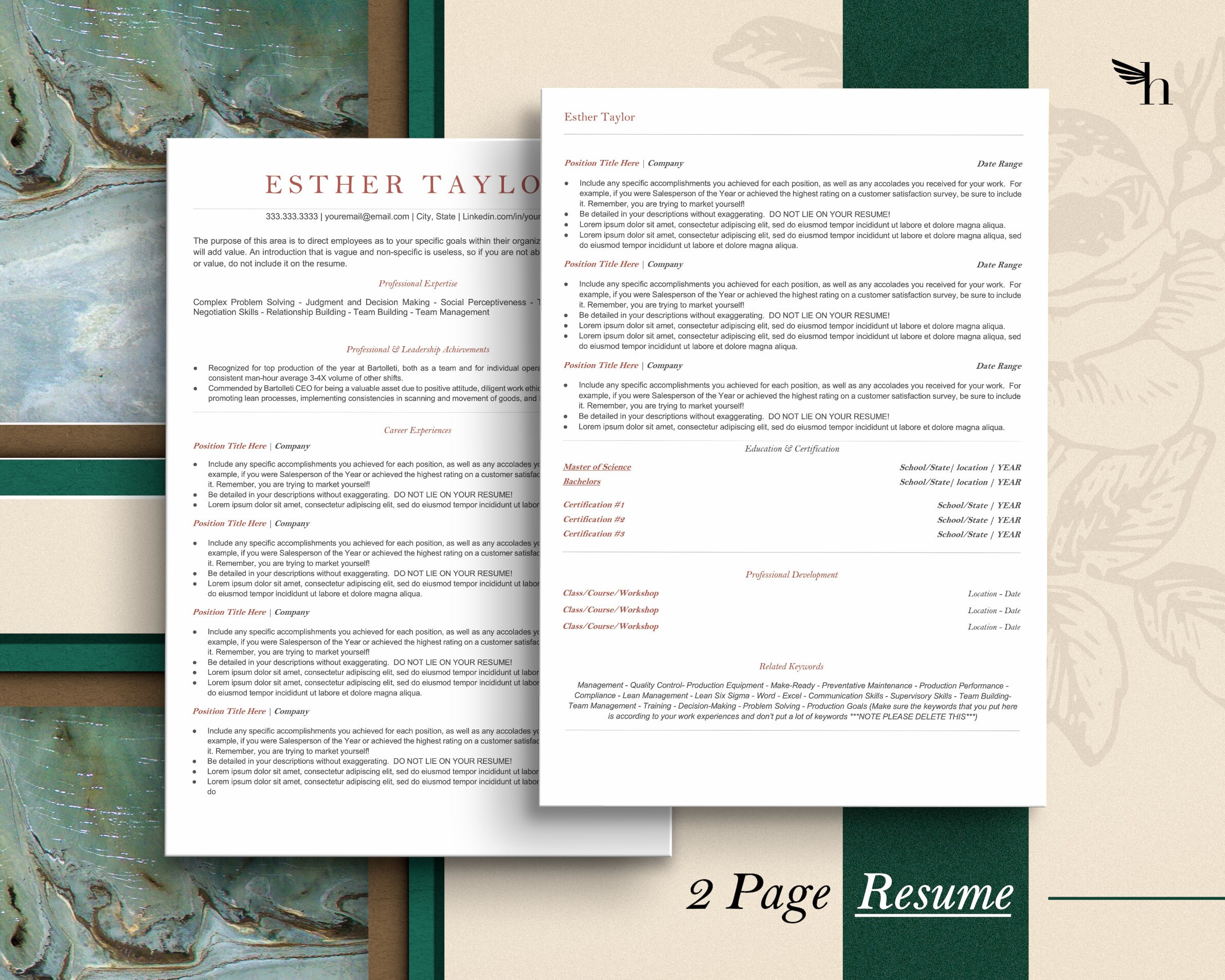 Clean, Modern Executive Resume Template 2023, CEO Resume Template for Word and Apple Pages ...