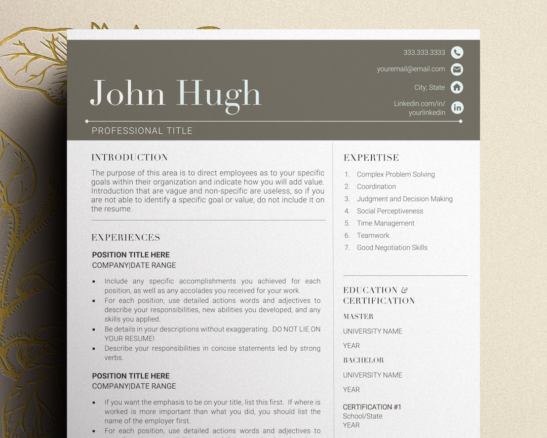 Modern Executive Resume Template, Resume Template Professional, Resume ...