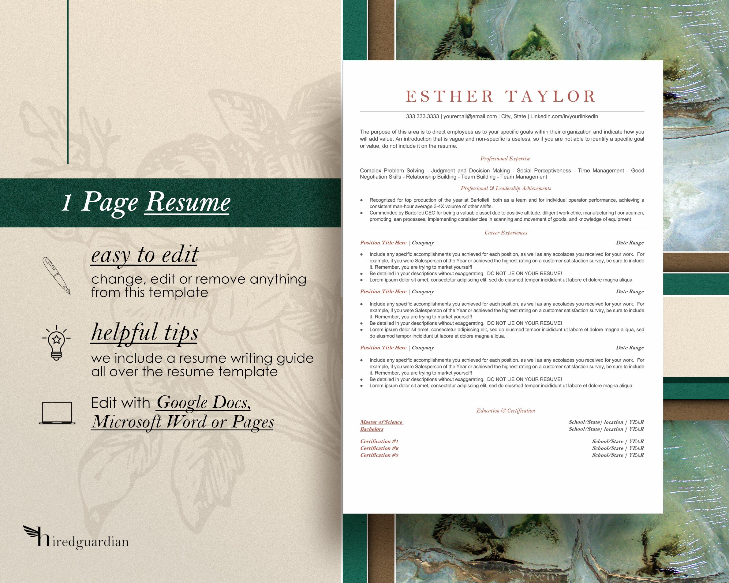 Clean, Modern Executive Resume Template 2023, CEO Resume Template for Word and Apple Pages ...