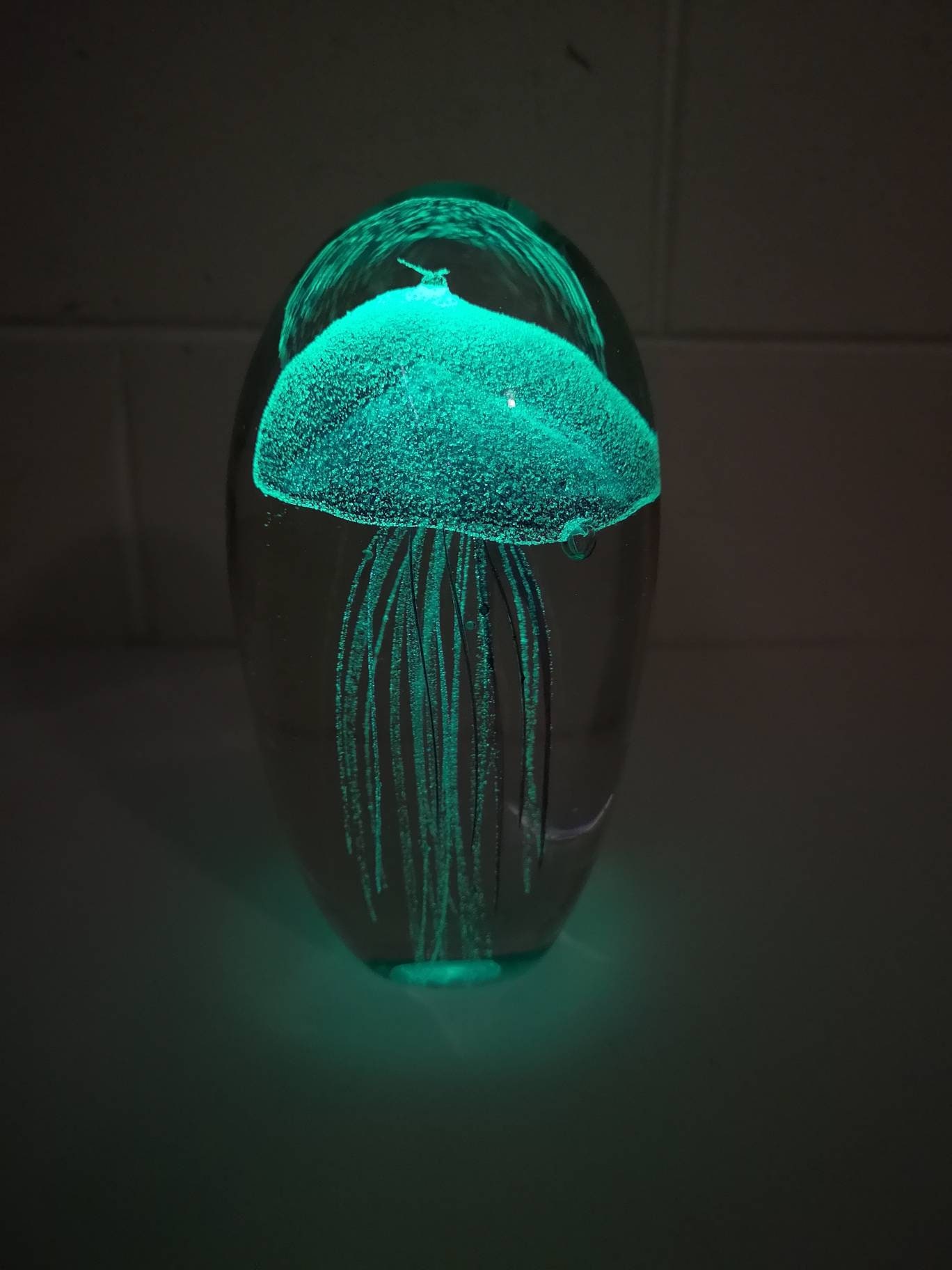Glow In The Dark Jellyfish Glass