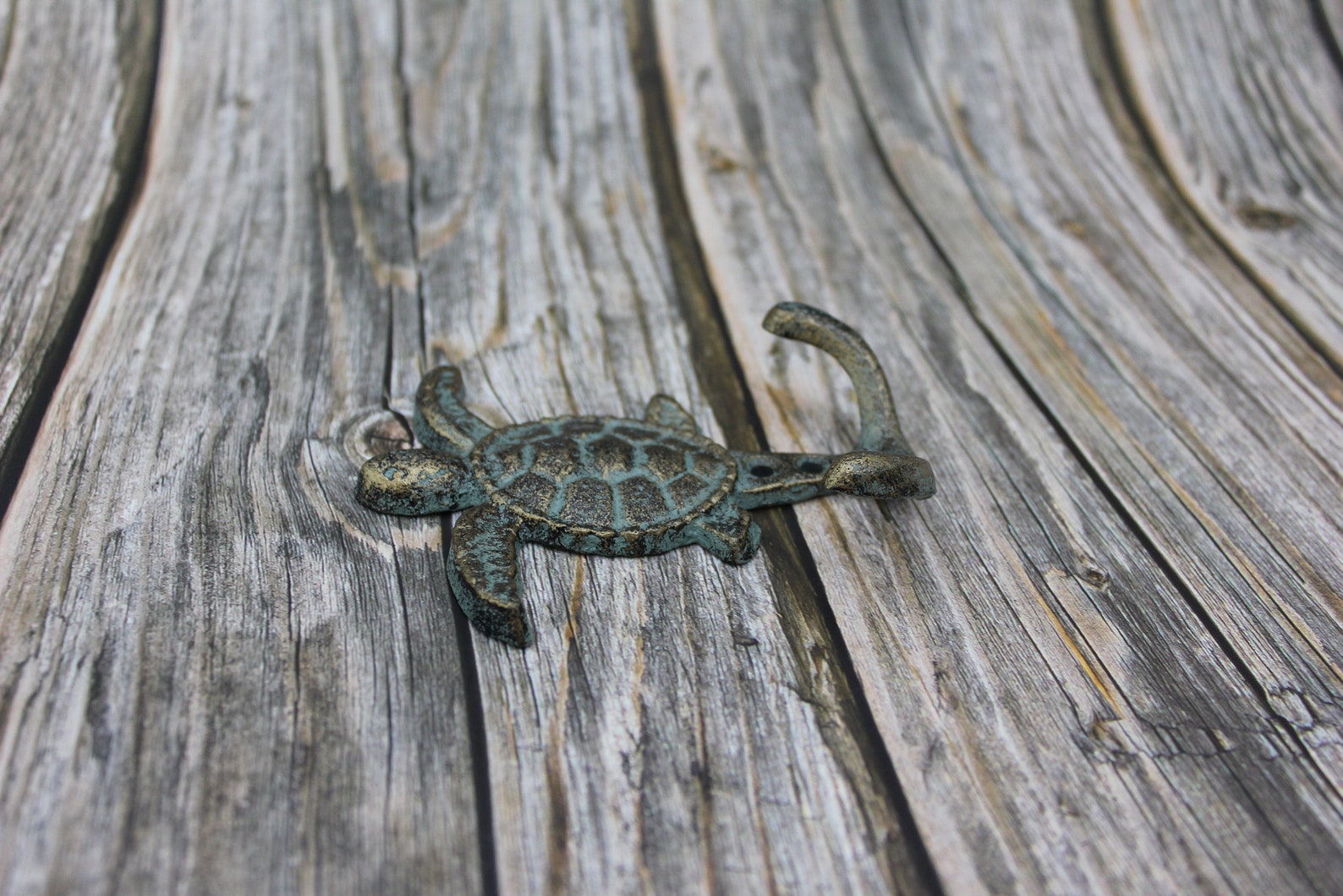Turtle Hook on Sale Ocean Decor Sea Turtle Hook Turtle - Etsy