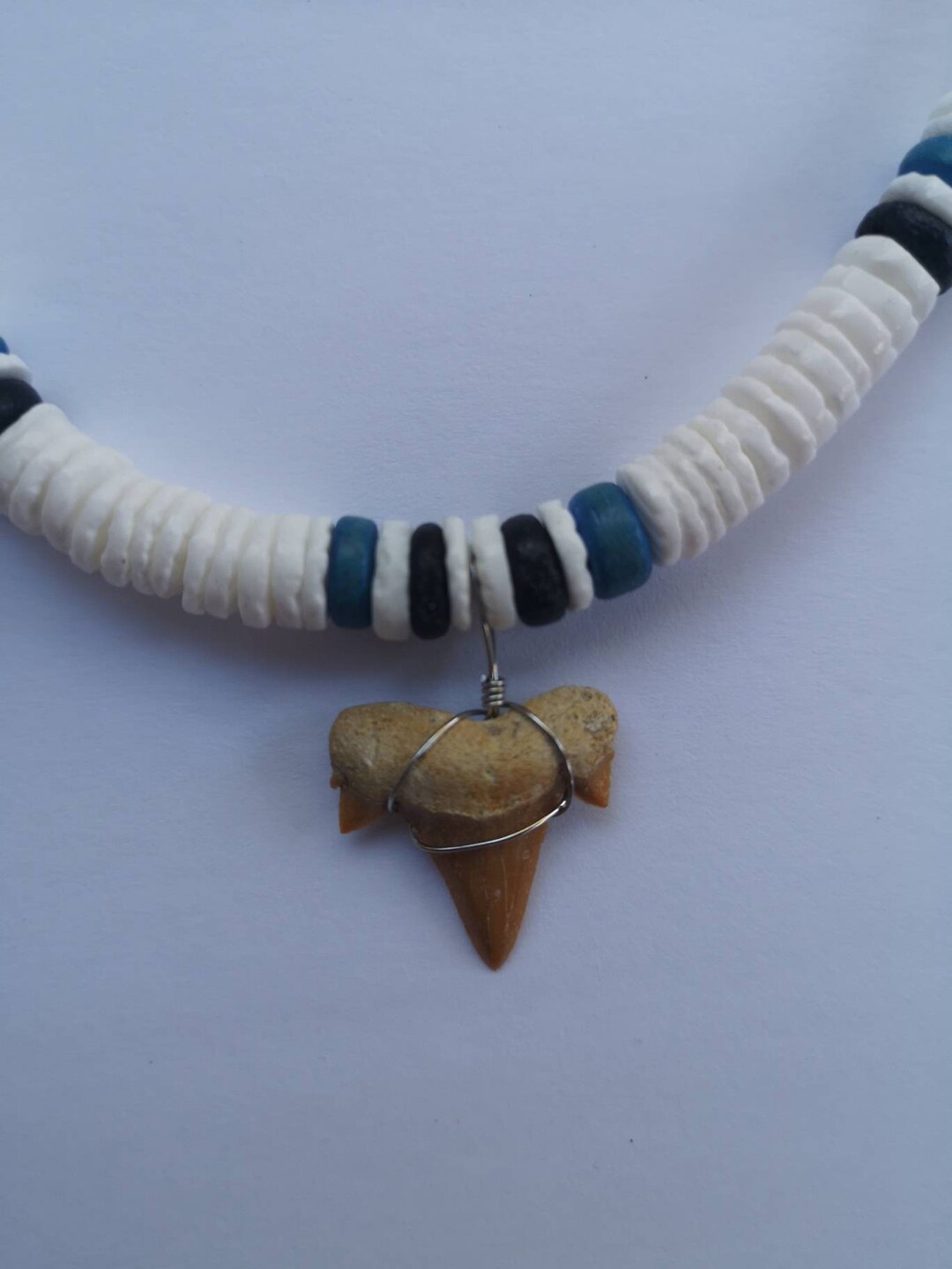 Shark Tooth Necklace, Real Shark Tooth, Shark Tooth, Shark Tooth ...
