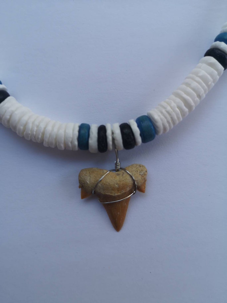 Shark Tooth Necklace Real Shark Tooth Shark Tooth Shark - Etsy