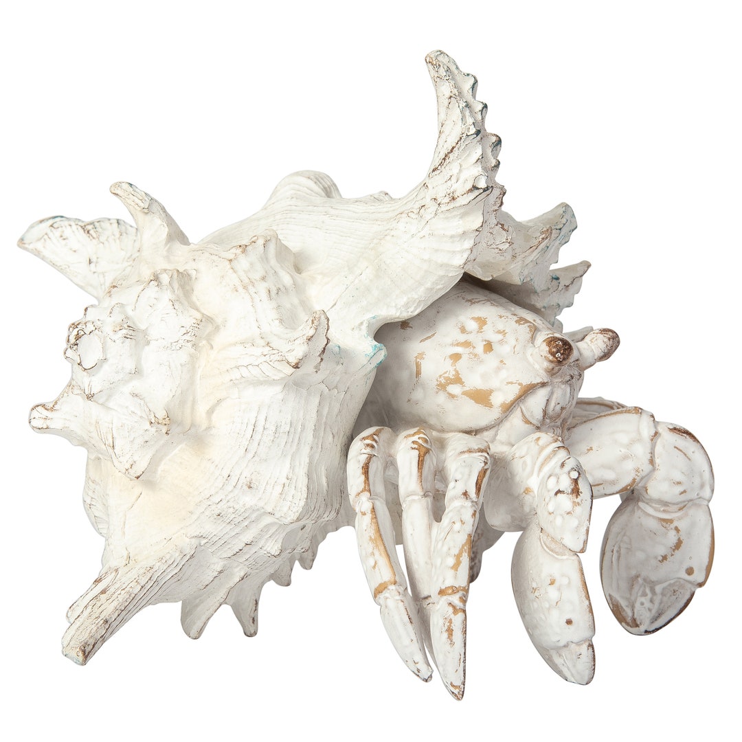 Crab Figurine Hermit Crab Decor Crab Shell Ocean Decor - Etsy