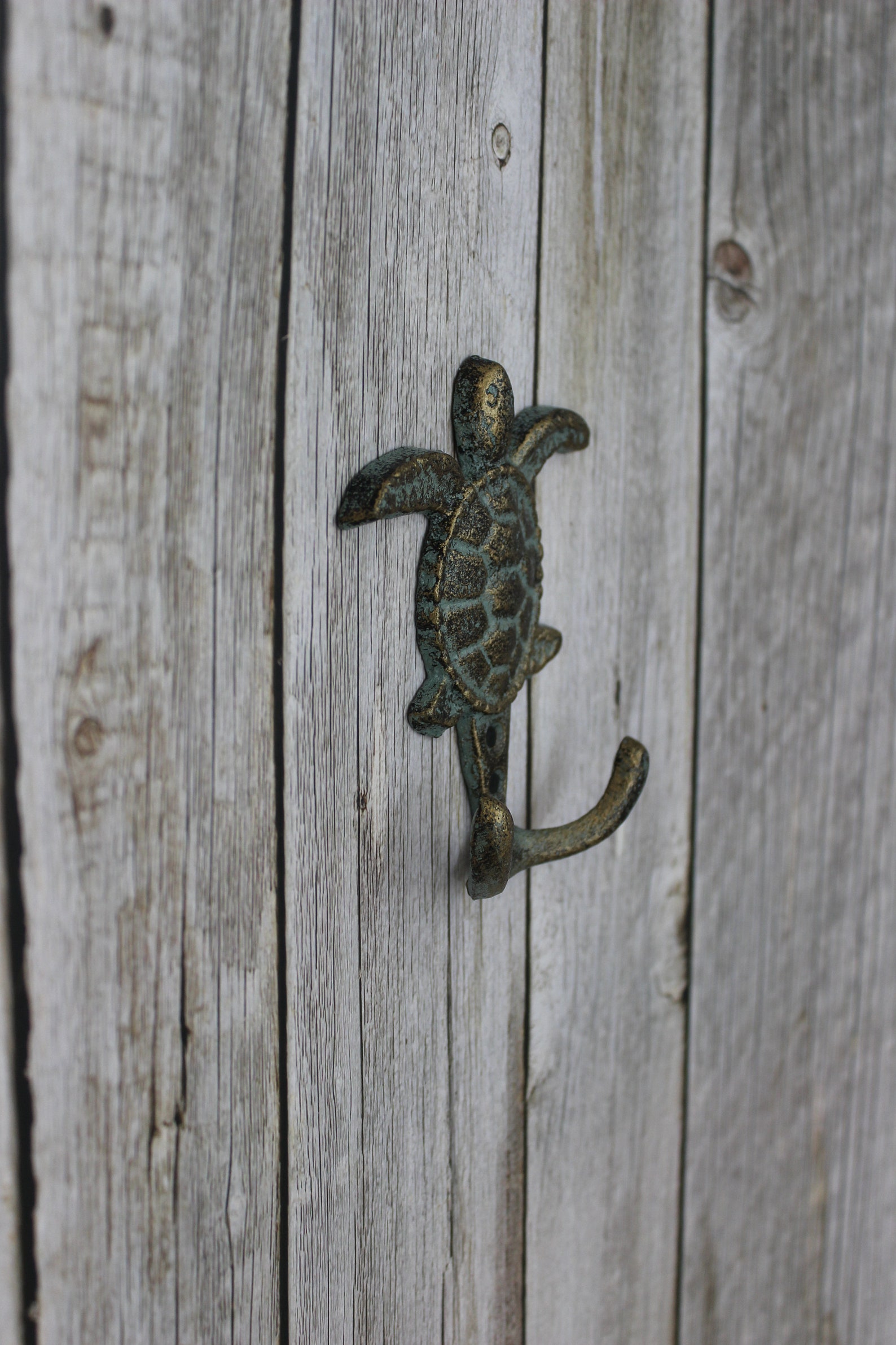 Turtle Hook on Sale Ocean Decor Sea Turtle Hook Turtle - Etsy