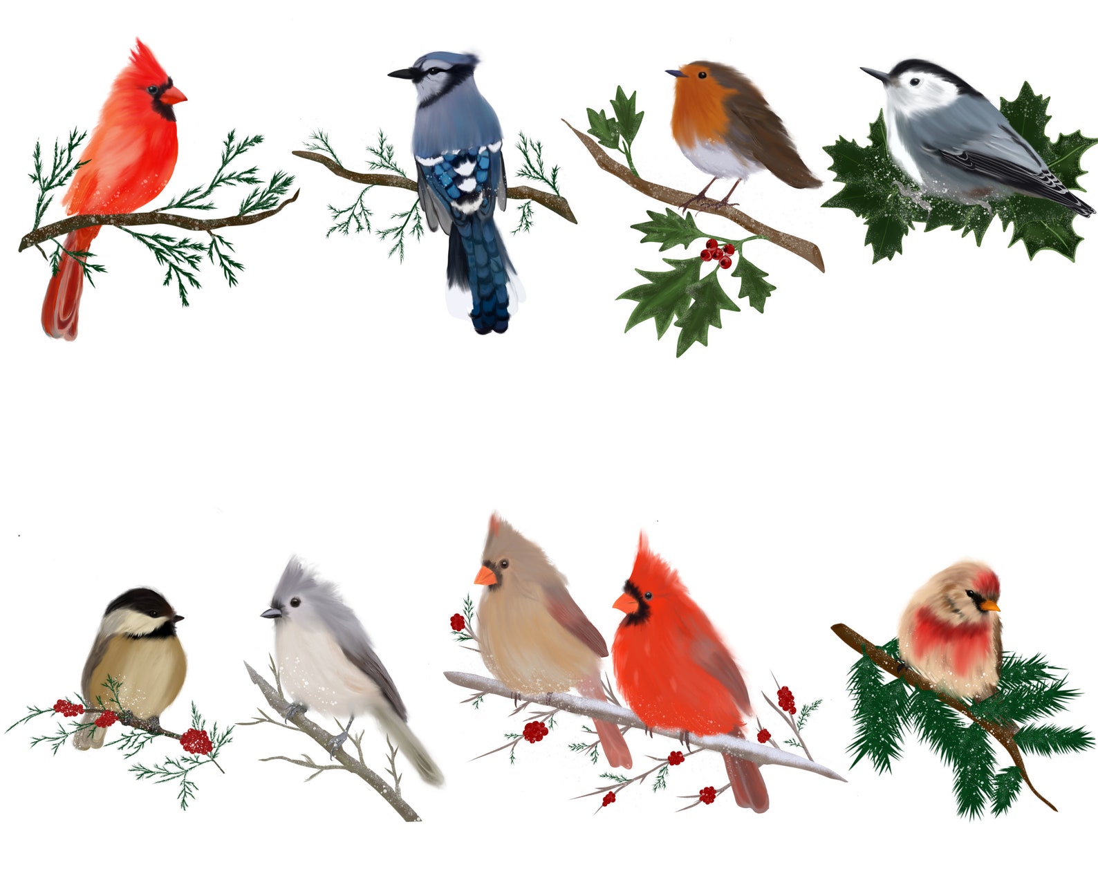 Winter Birds Winter Birds Clip Art Birds Bird Clip Art - Etsy