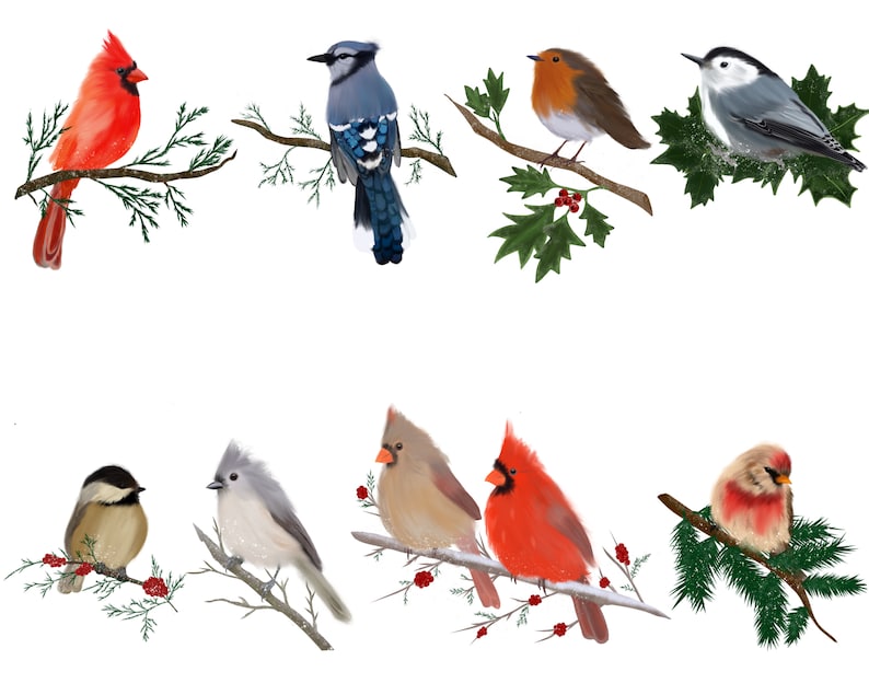 Winter Birds Winter Birds Clip Art Birds Bird Clip Art - Etsy