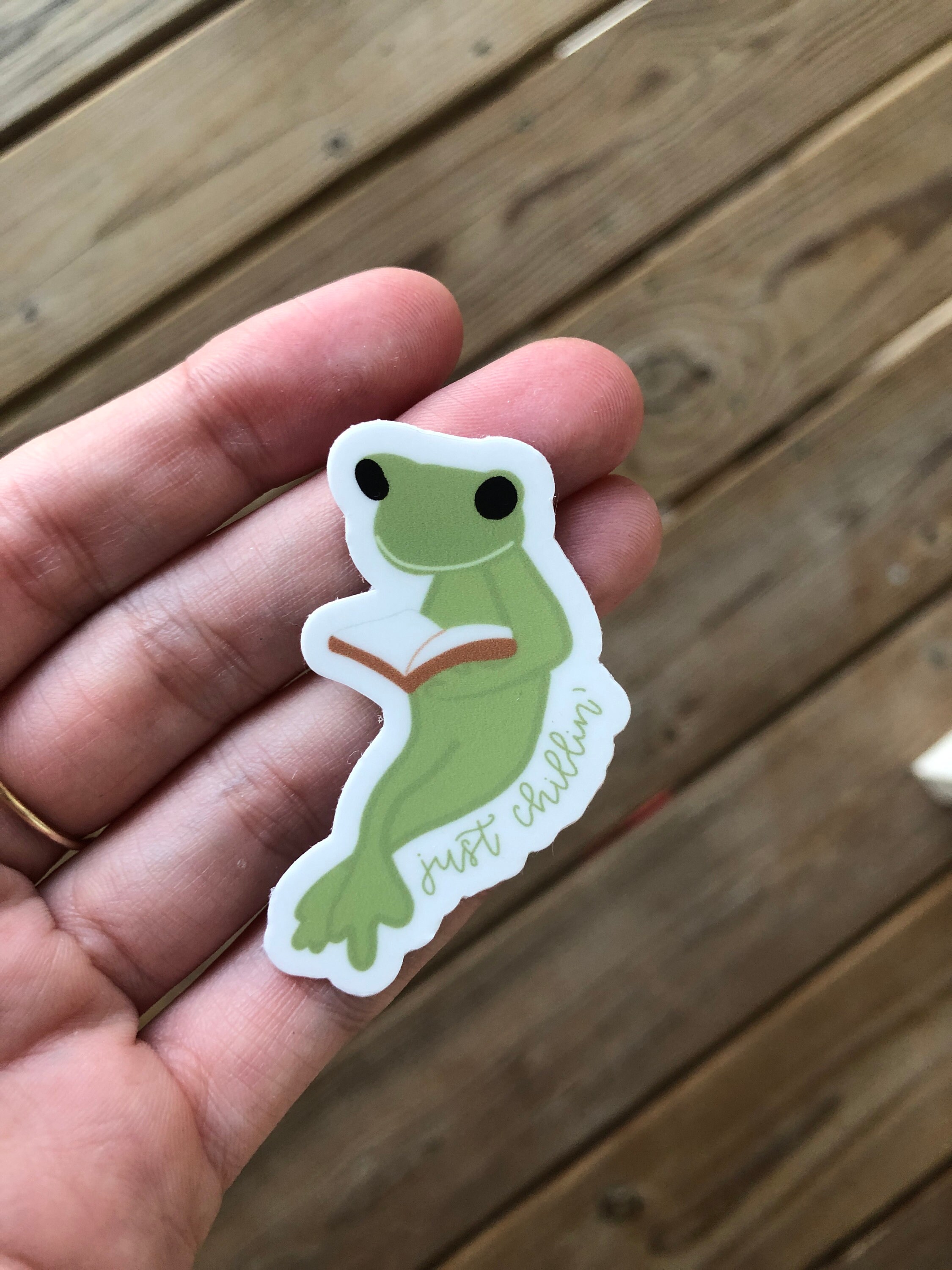 Frog With a Book Sticker // Vinyl Sticker // Just Chillin Sticker - Etsy