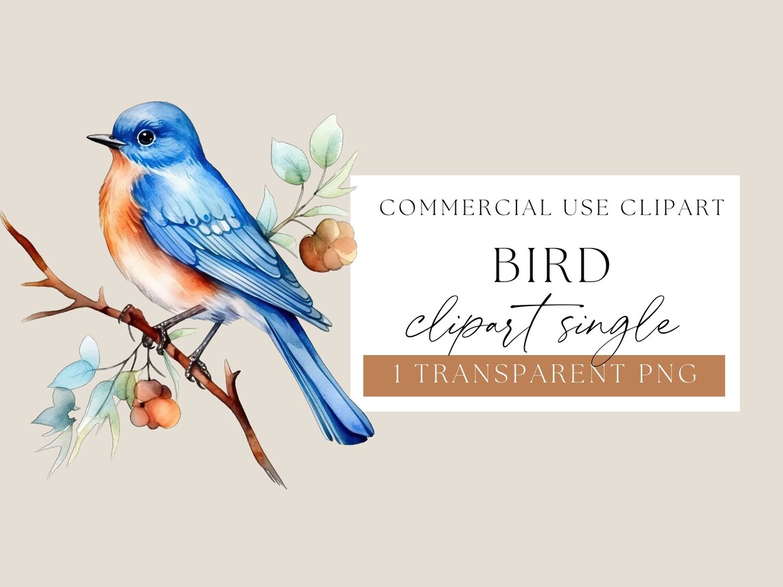 Bluebird on a Branch Watercolor Clipart, Blue Bird Watercolour Clip Art ...