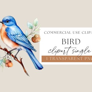 Bluebird on a Branch Watercolor Clipart, Blue Bird Watercolour Clip Art ...