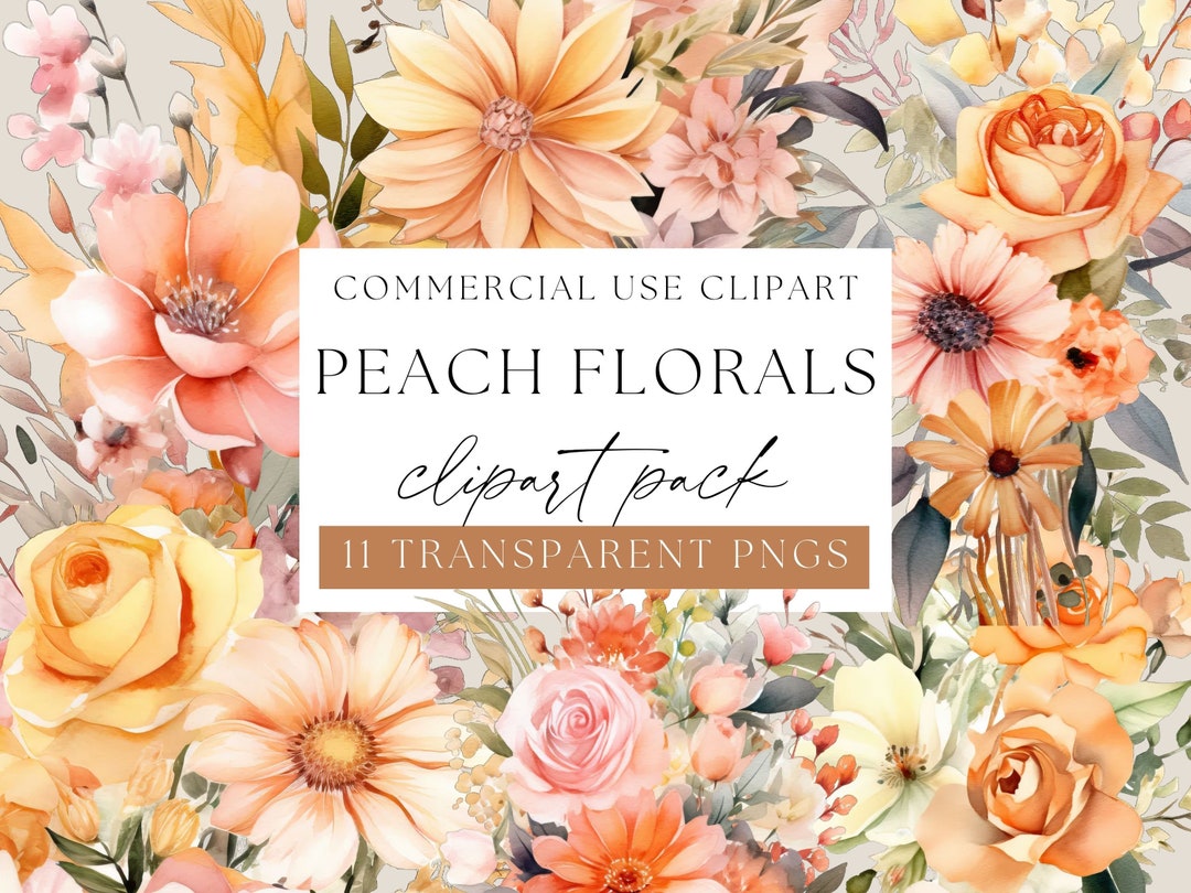 Peach Florals Clipart Pack, Watercolour Floral, Watercolor Peach Floral ...