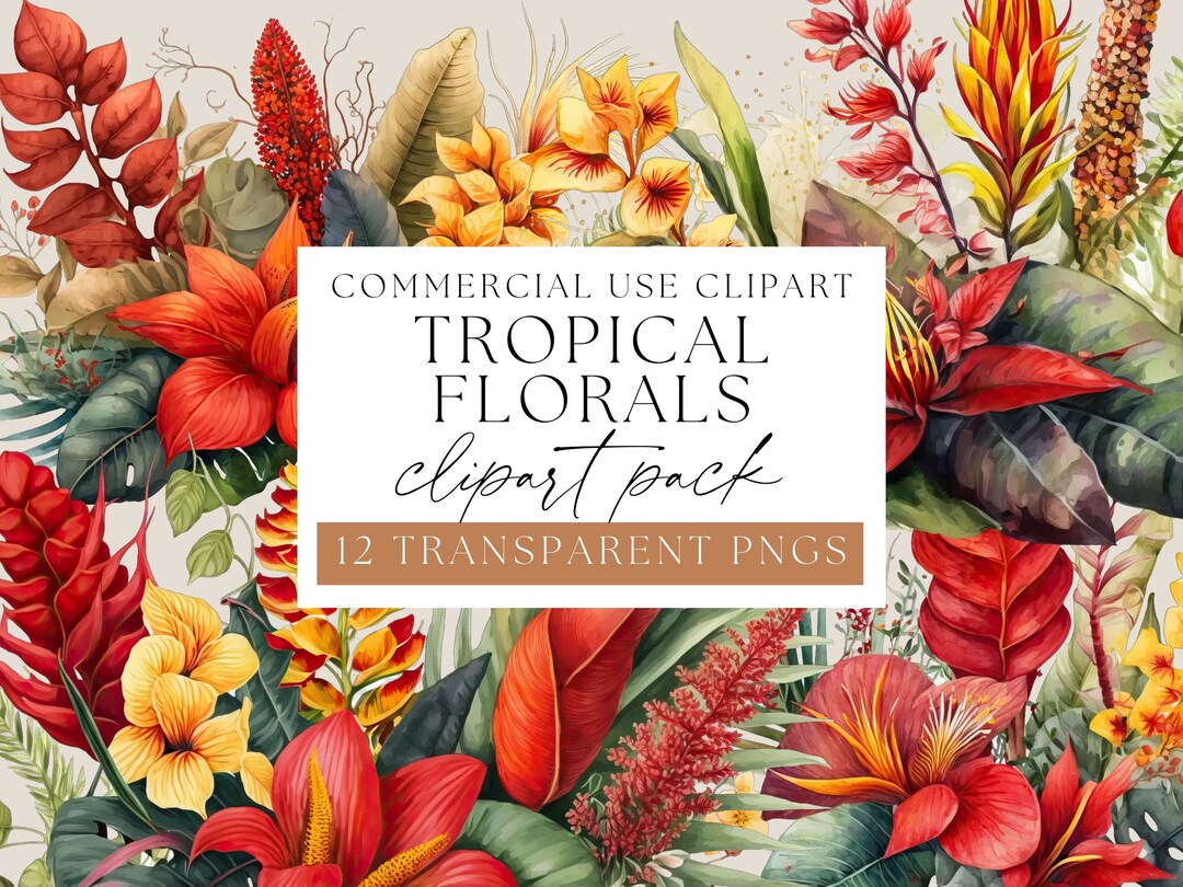 Tropical Florals Clip Art Pack, Digital Clipart, Tropical Watercolor ...