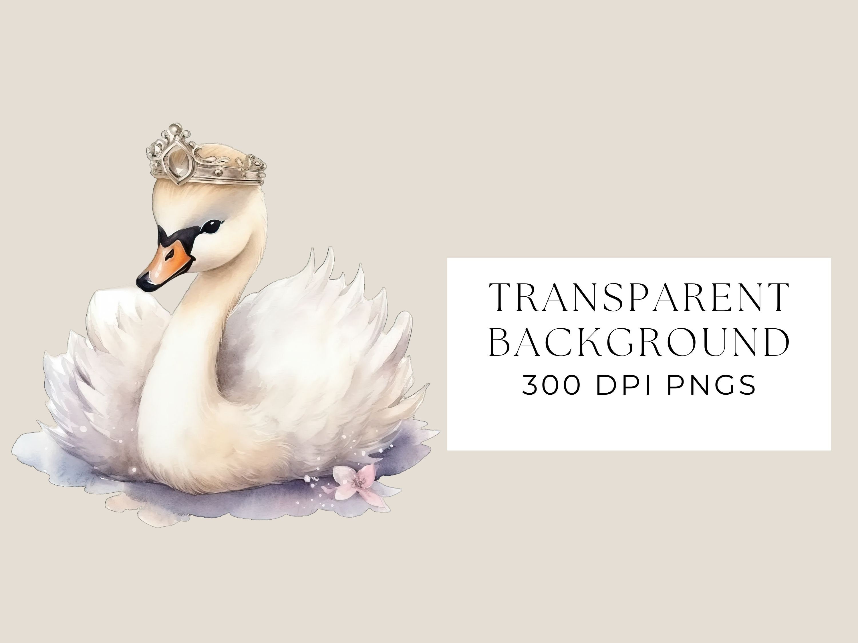 Watercolour Swan,watercolor Clipart,swan Baby Shower,baby Swan Clipart ...