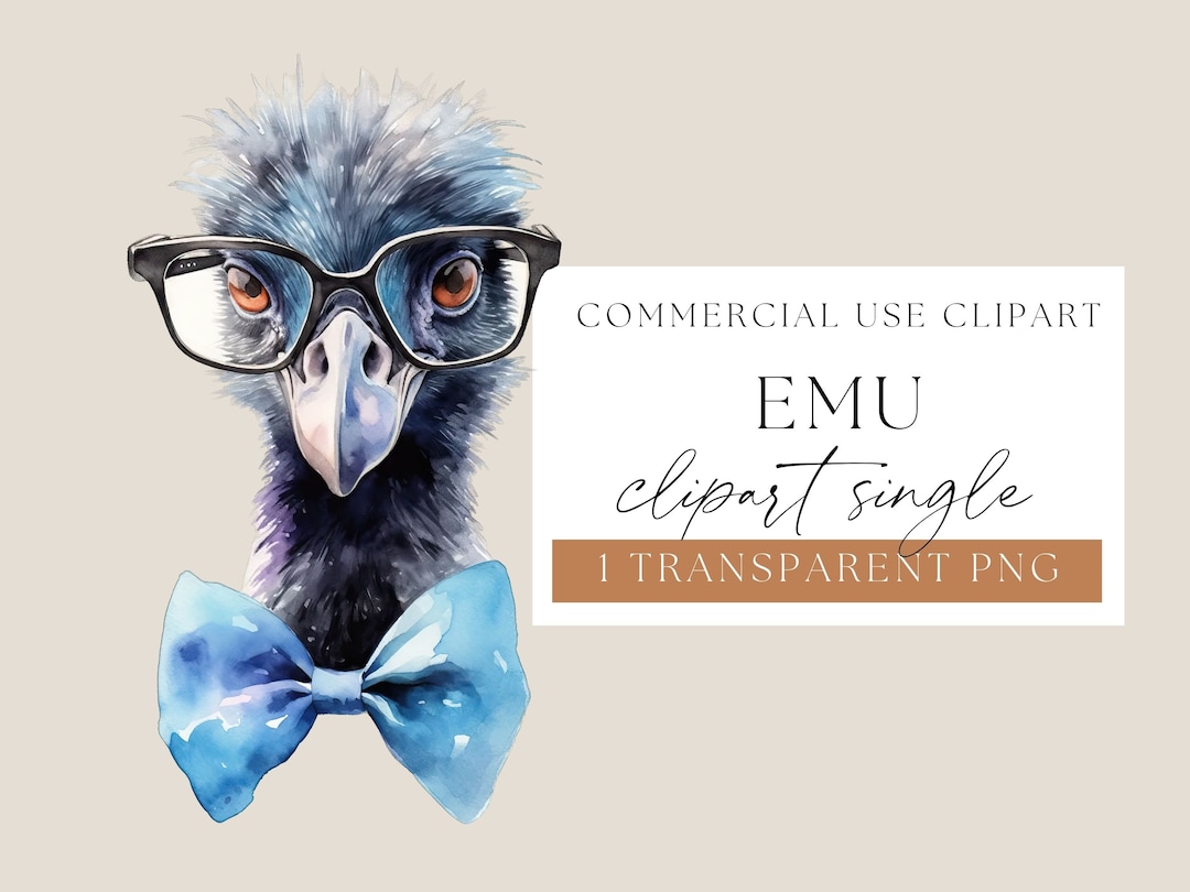 Emu Clipart. Australian Animal Clipart, Aussie Bird Clipart, Emu ...