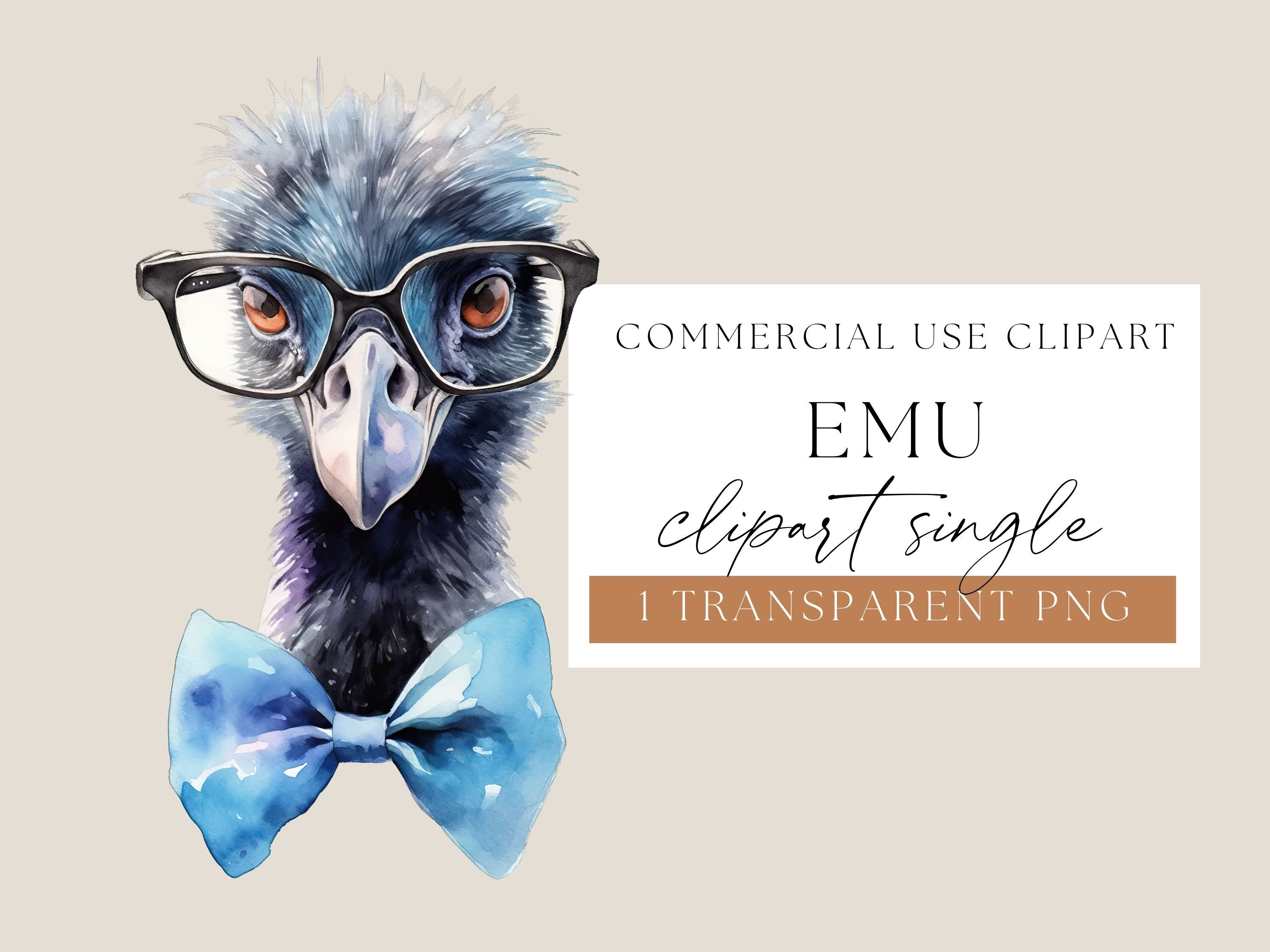 Emu Clipart. Australian Animal Clipart, Aussie Bird Clipart, Emu ...