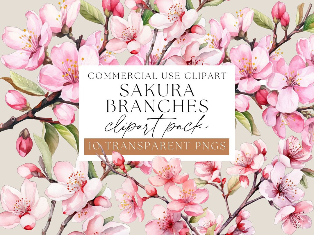 Sakura Branches, Sakura Clip Art, Watercolour Sakura, Cherry Blossom ...