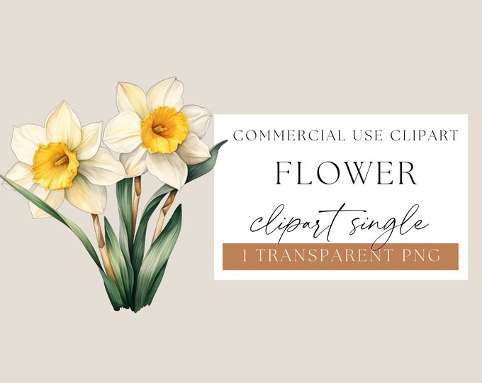 Watercolor Daffodil Clipart Bundle Narcissus PNG Bundle Yellow Wedding ...