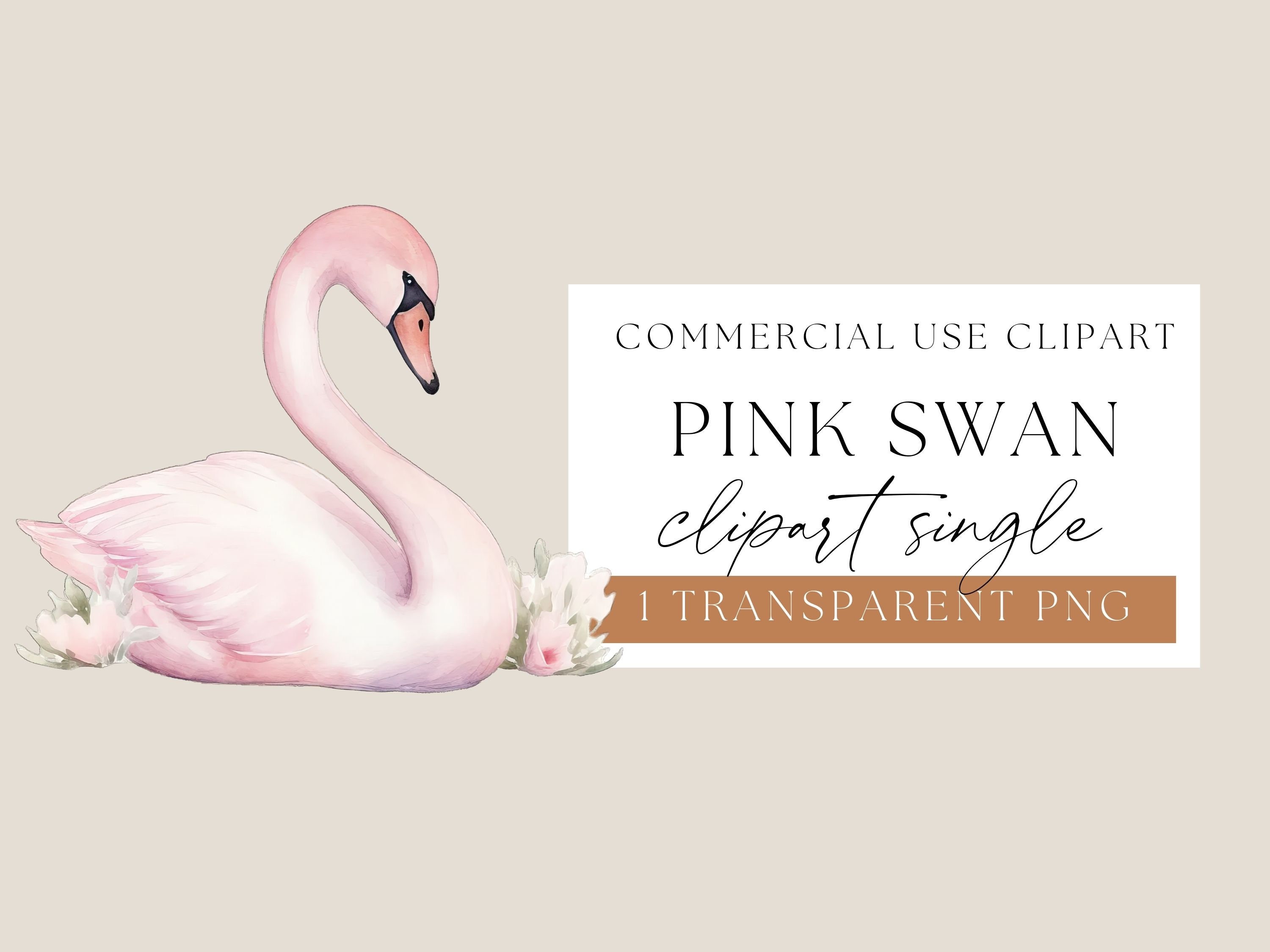 Pink Swan Watercolor Clipart, Swan With Flowers Clip Art, Watercolour ...