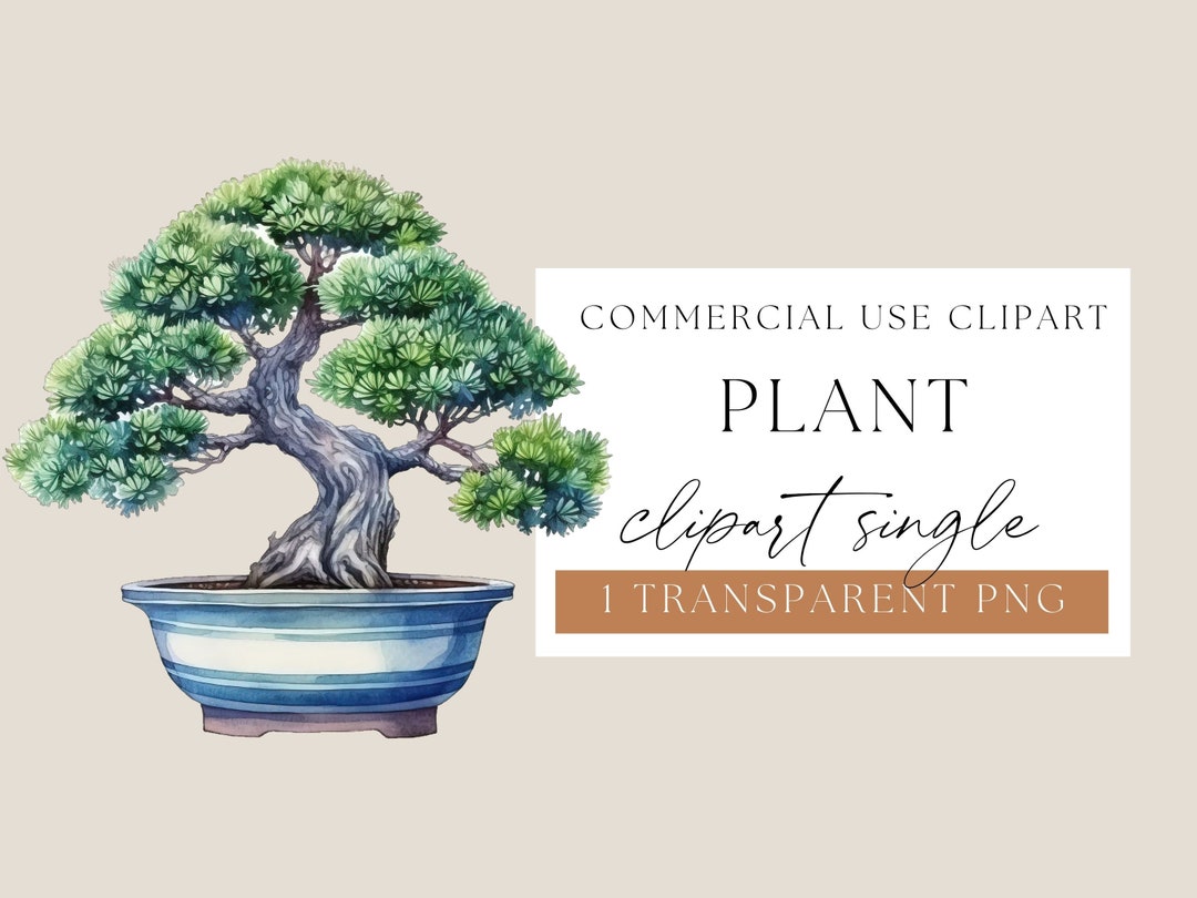 Bonsai Tree Watercolor Clipart, Bonsai in a Pot Clip Art, Miniature ...