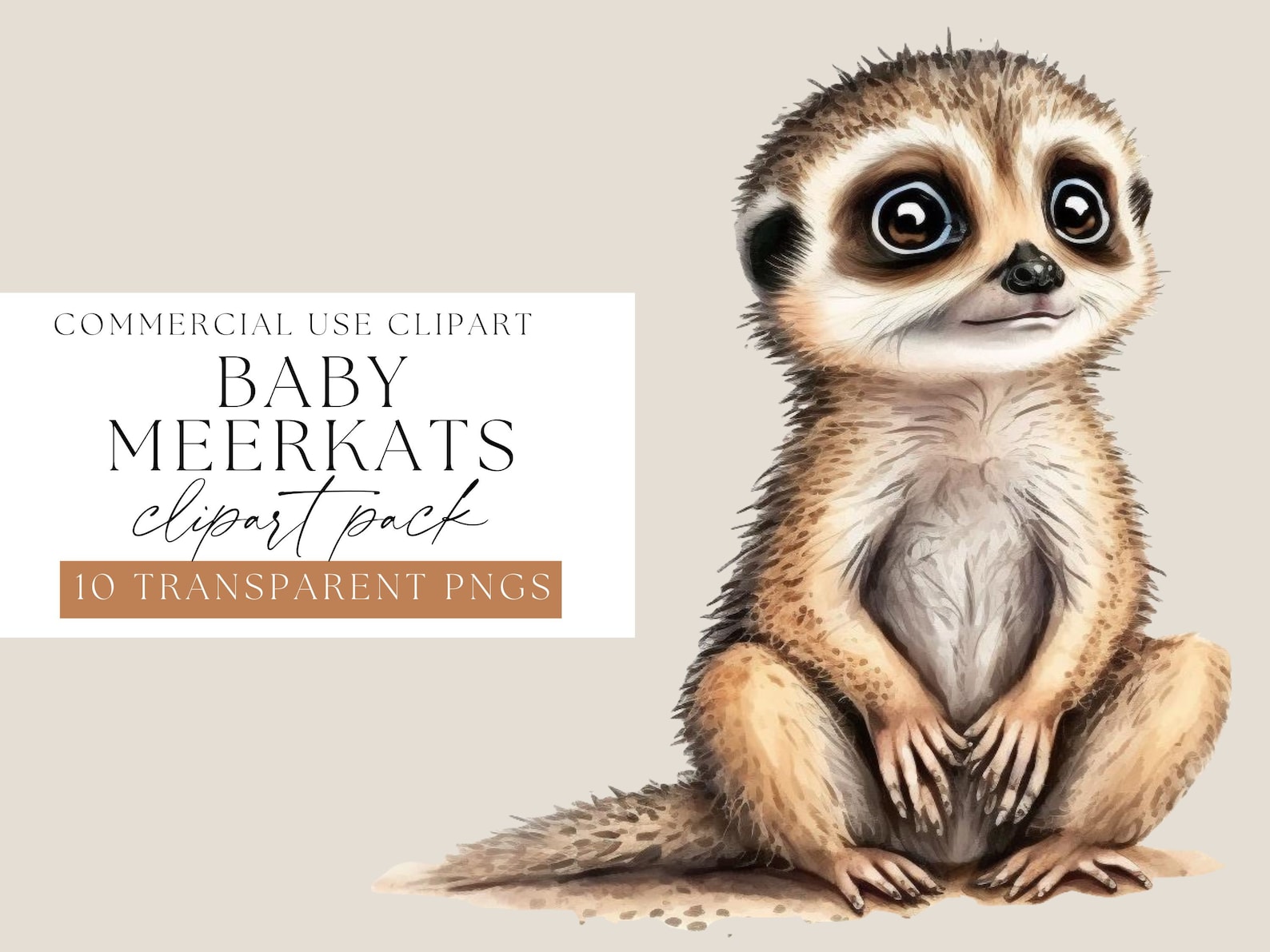 Meerkat Clipart, Transparent Pngs, Meerkat Clip Art, Watercolor ...