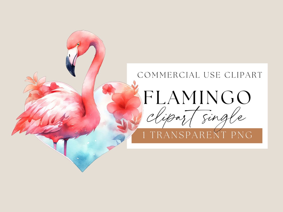 Flamingo Clipart, Flamingo Valentines, Flamingo Summer Tropical, Birds ...