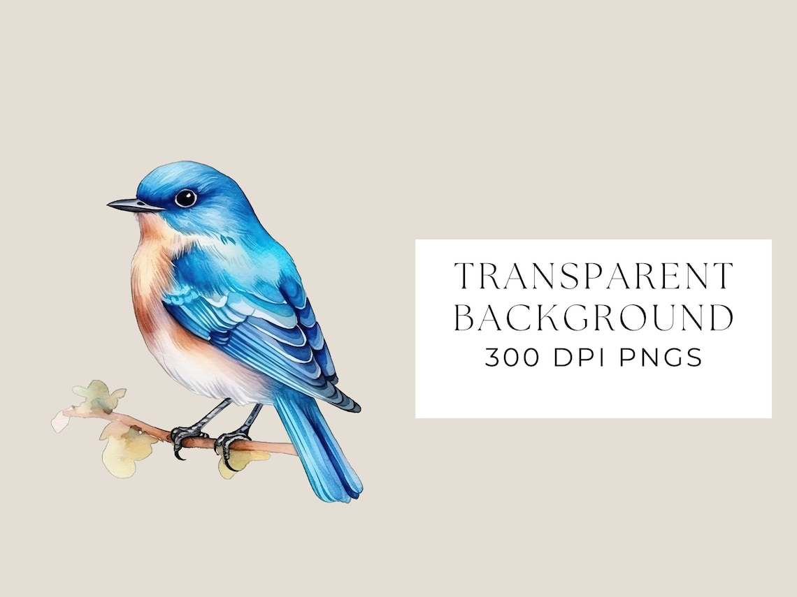Bluebird Watercolor Clipart, Blue Bird Clip Art, Bird Design, Junk ...