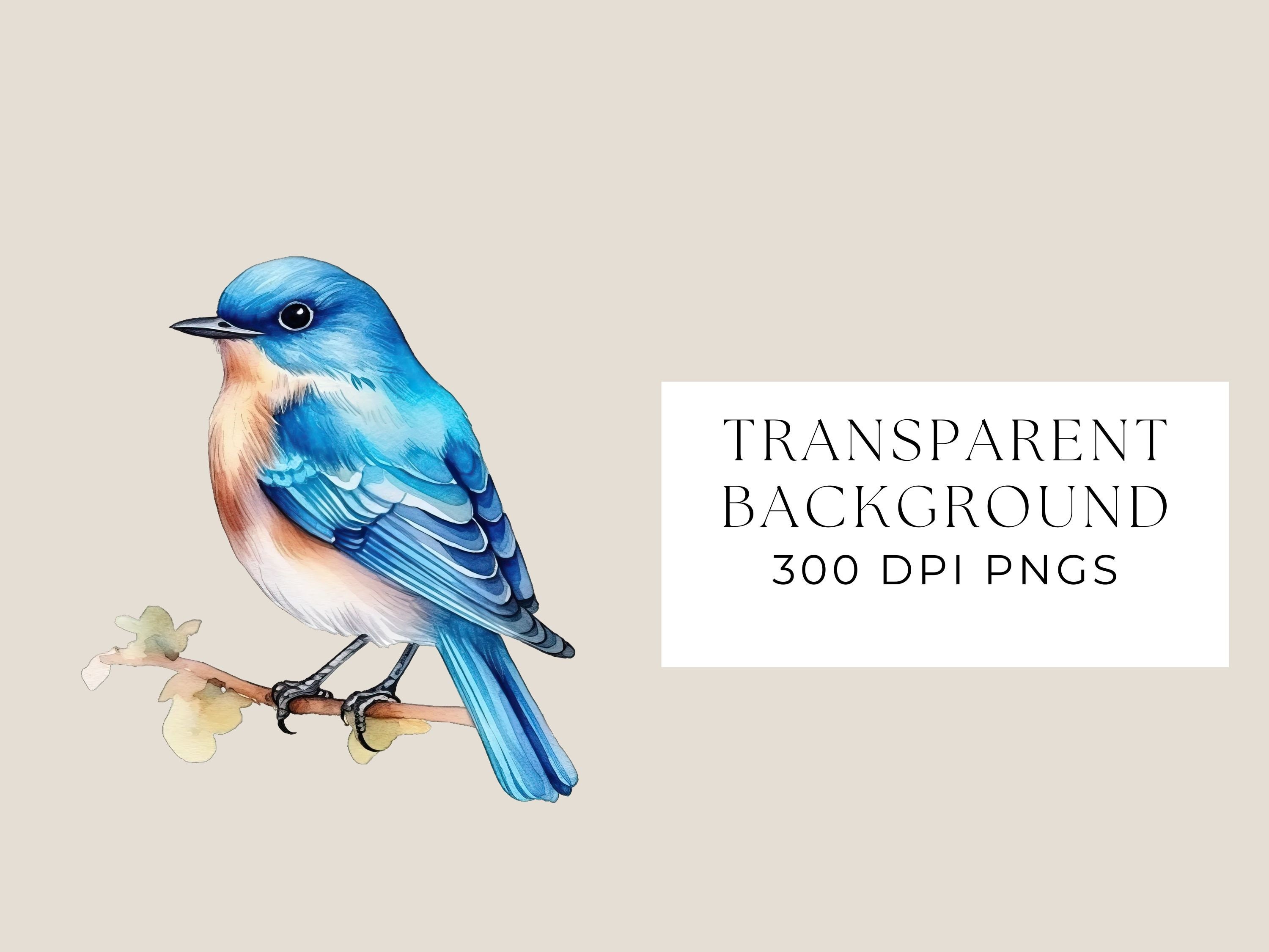 Bluebird Watercolor Clipart, Blue Bird Clip Art, Bird Design, Junk ...