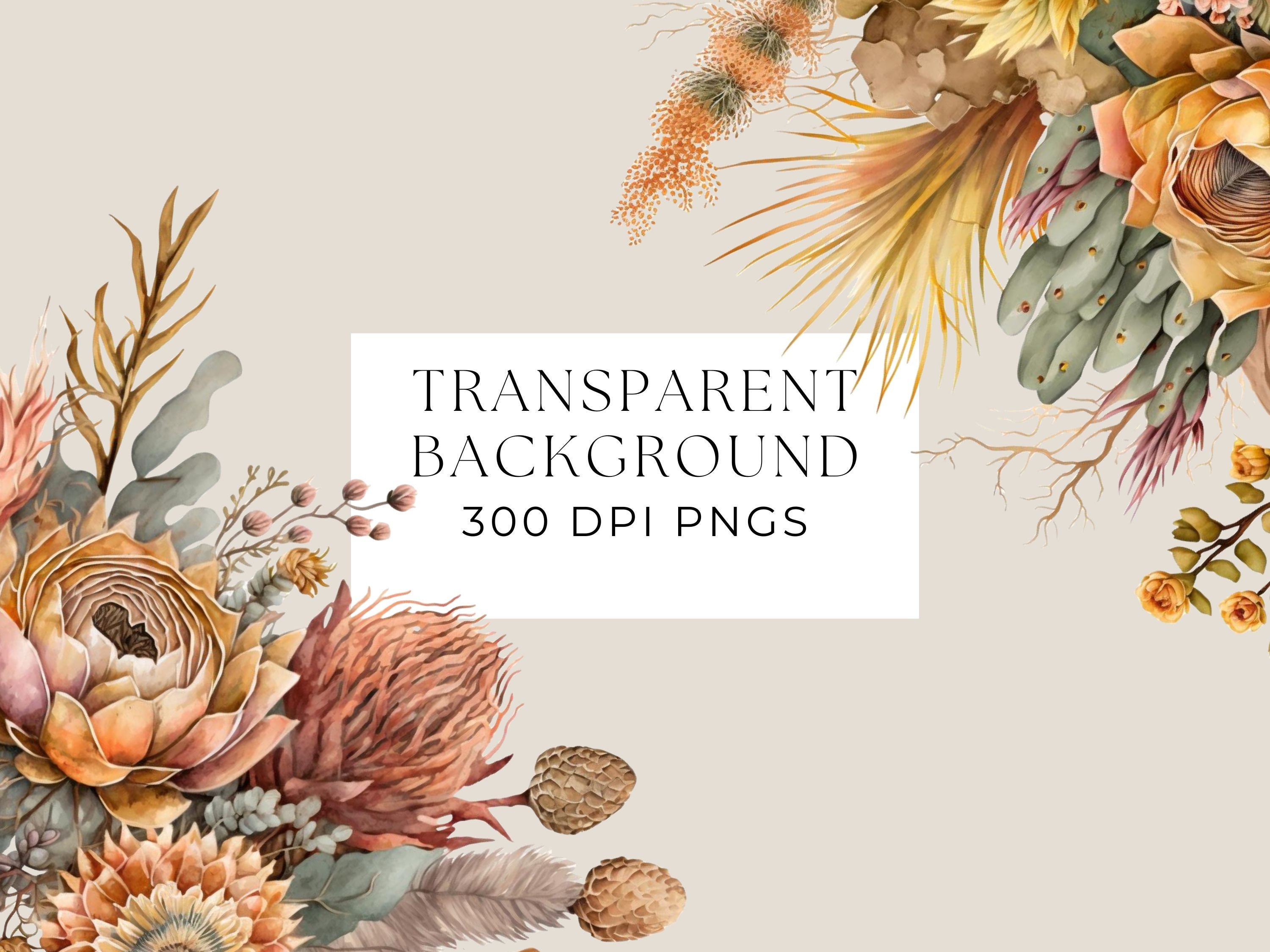 Boho Floral Clipart Pack, Terracotta Florals Pack, Transparent Pngs ...