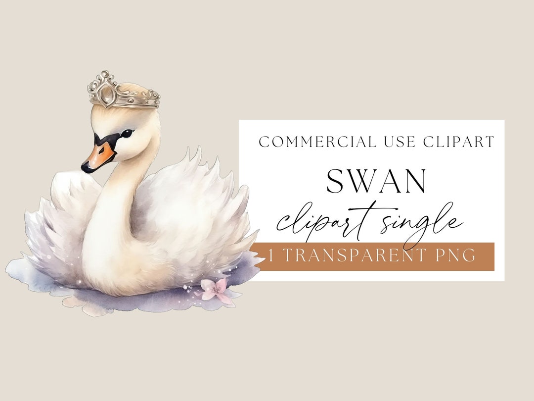 Watercolour Swan,watercolor Clipart,swan Baby Shower,baby Swan Clipart ...