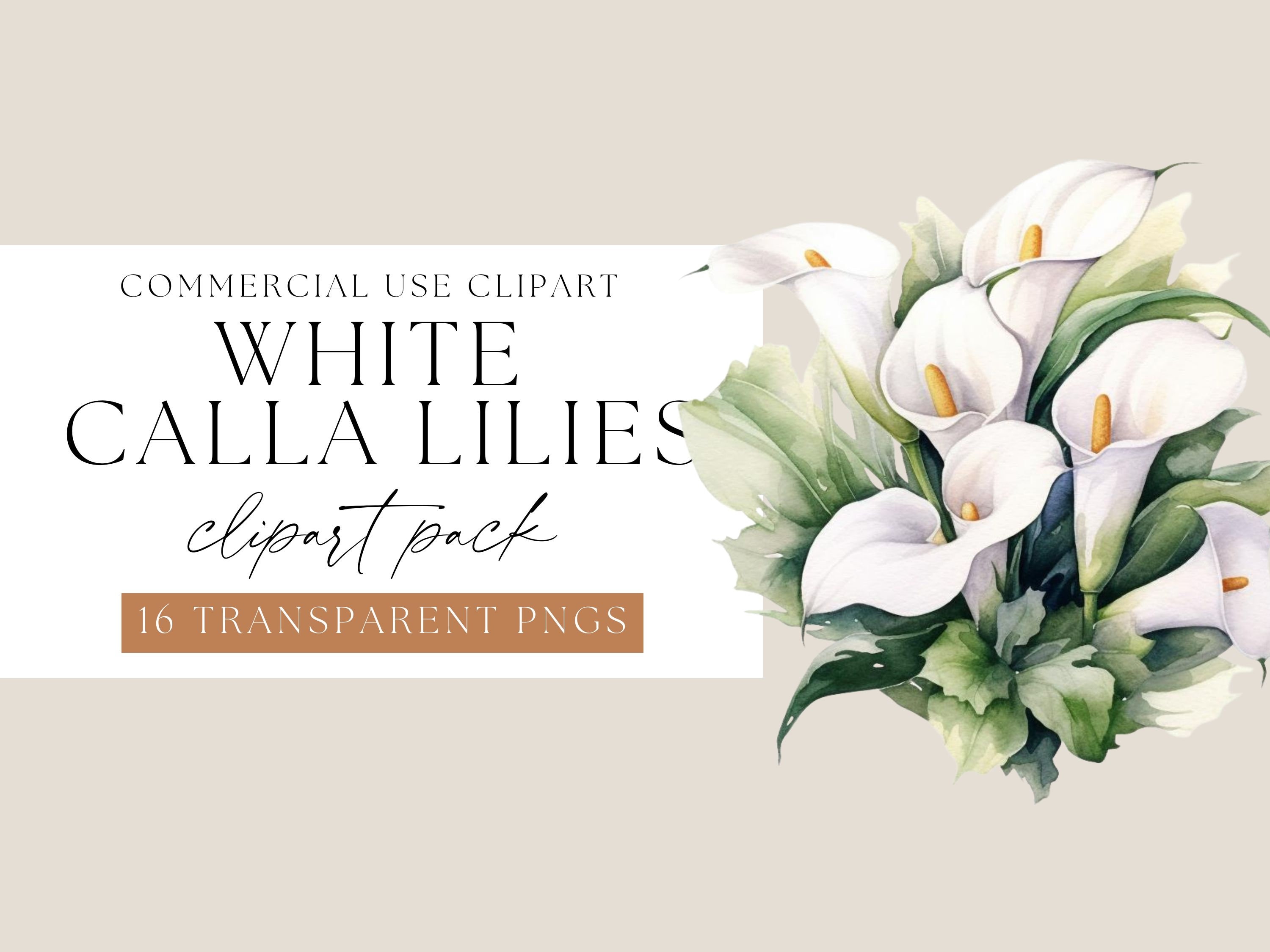 Vector Clipart Of Calla Lillies