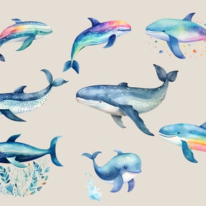 Watercolor Whale Clipart, Transparent PNG Images, Ocean Life ...