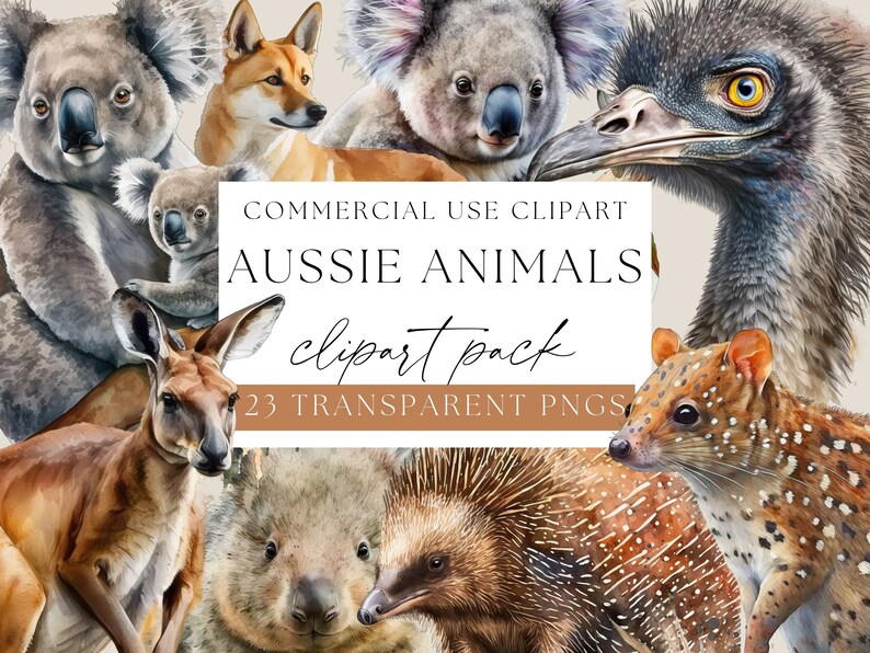 Australian Animals, Cute Animal Clipart, Watercolour Animals, Animals ...