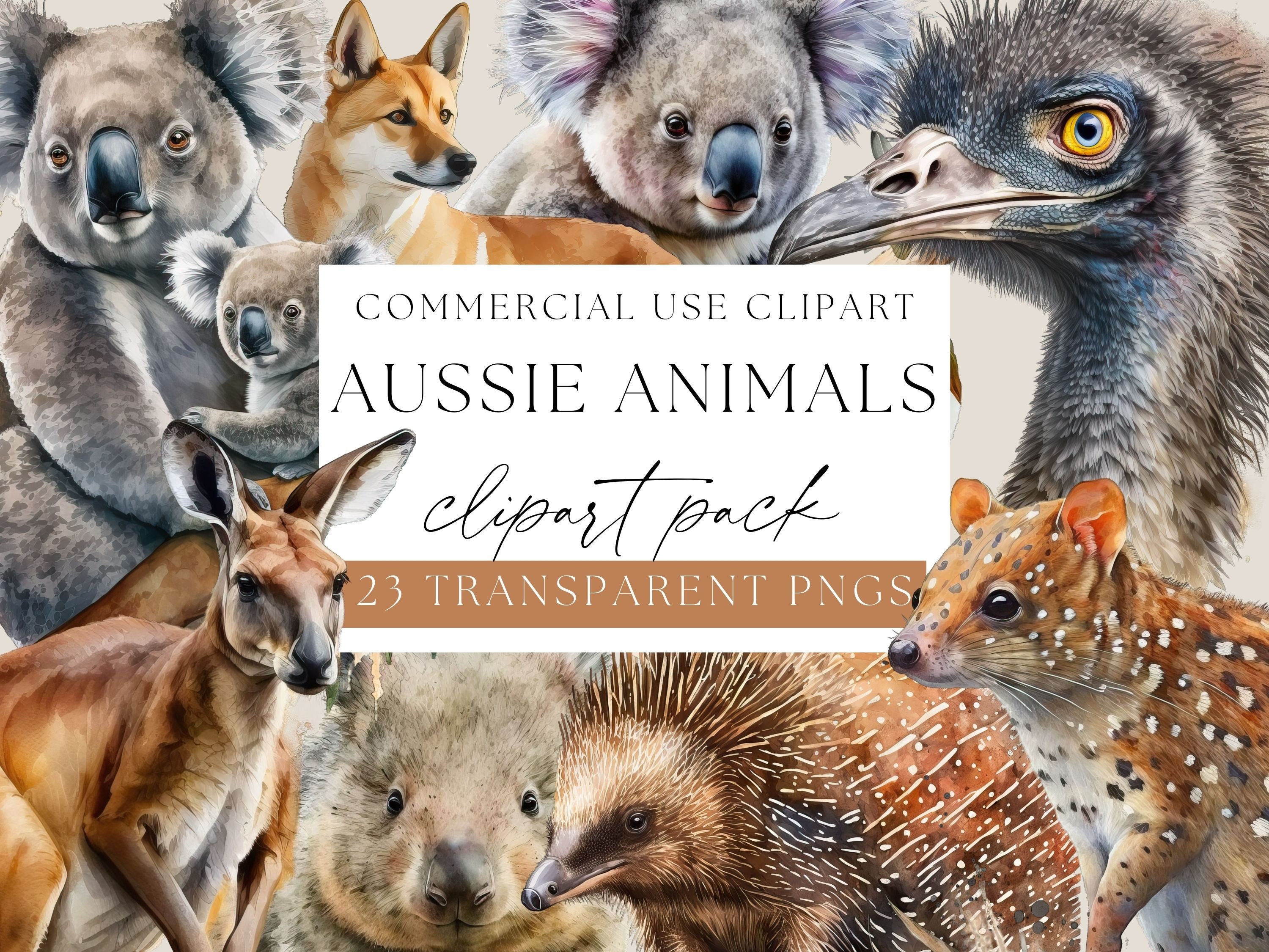 Australian Animals, Cute Animal Clipart, Watercolour Animals, Animals ...