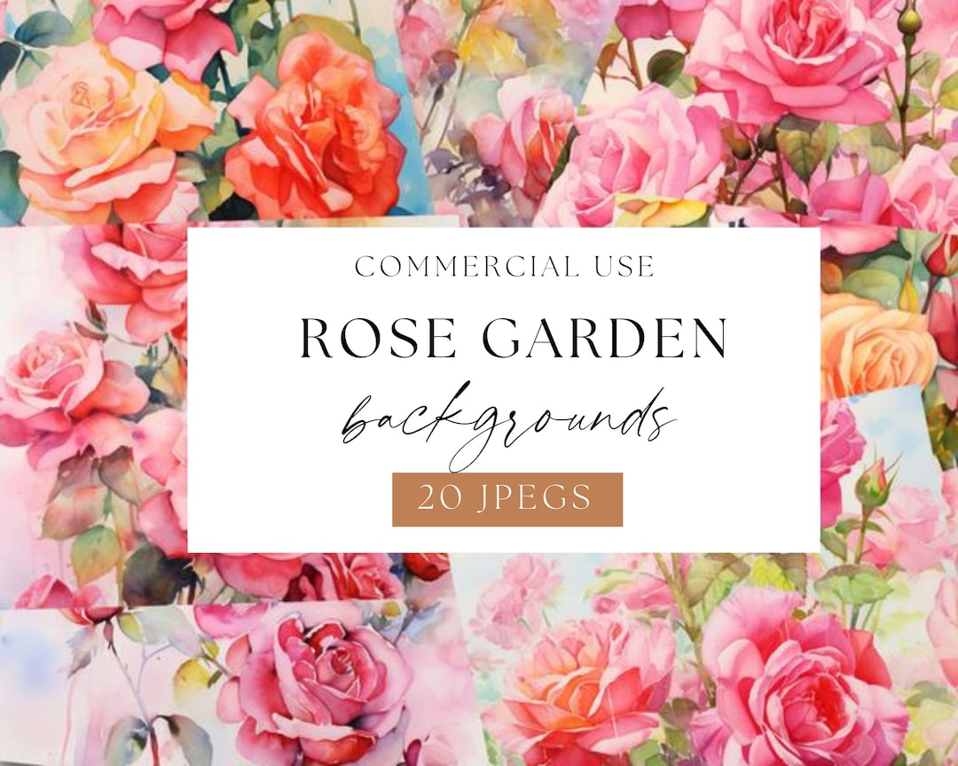 Rose Garden Watercolor Background, Flower Garden, Floral Clipart ...