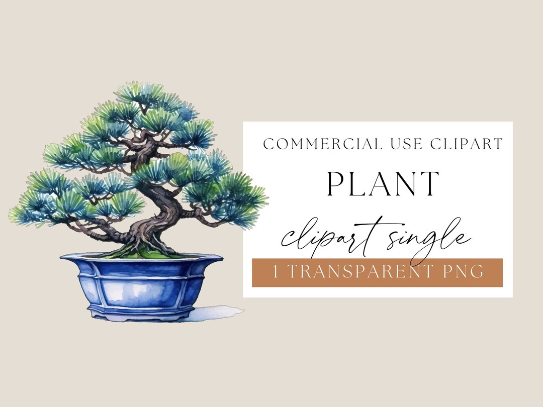 Bonsai Tree, Watercolor Clipart, Watercolour Bonsai, Bonsai Tree Png ...