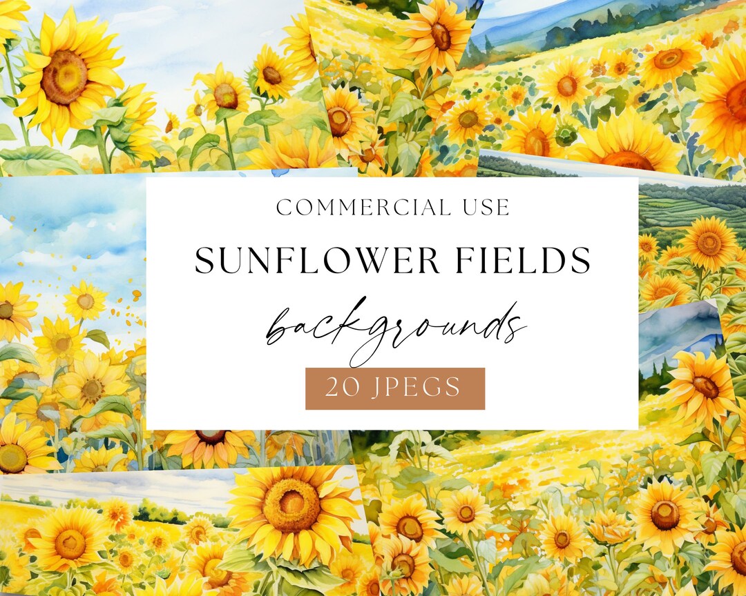 Sunflowers Field Digital Backdrop, Flower Summer, Sunflower Field ...