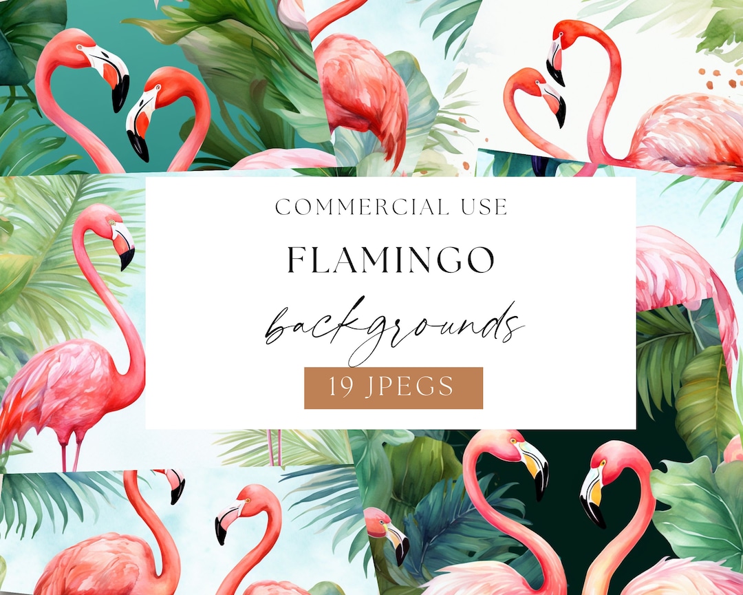 Flamingo Watercolor Background, Flamingo Digital Papers, Pink Flamingo ...
