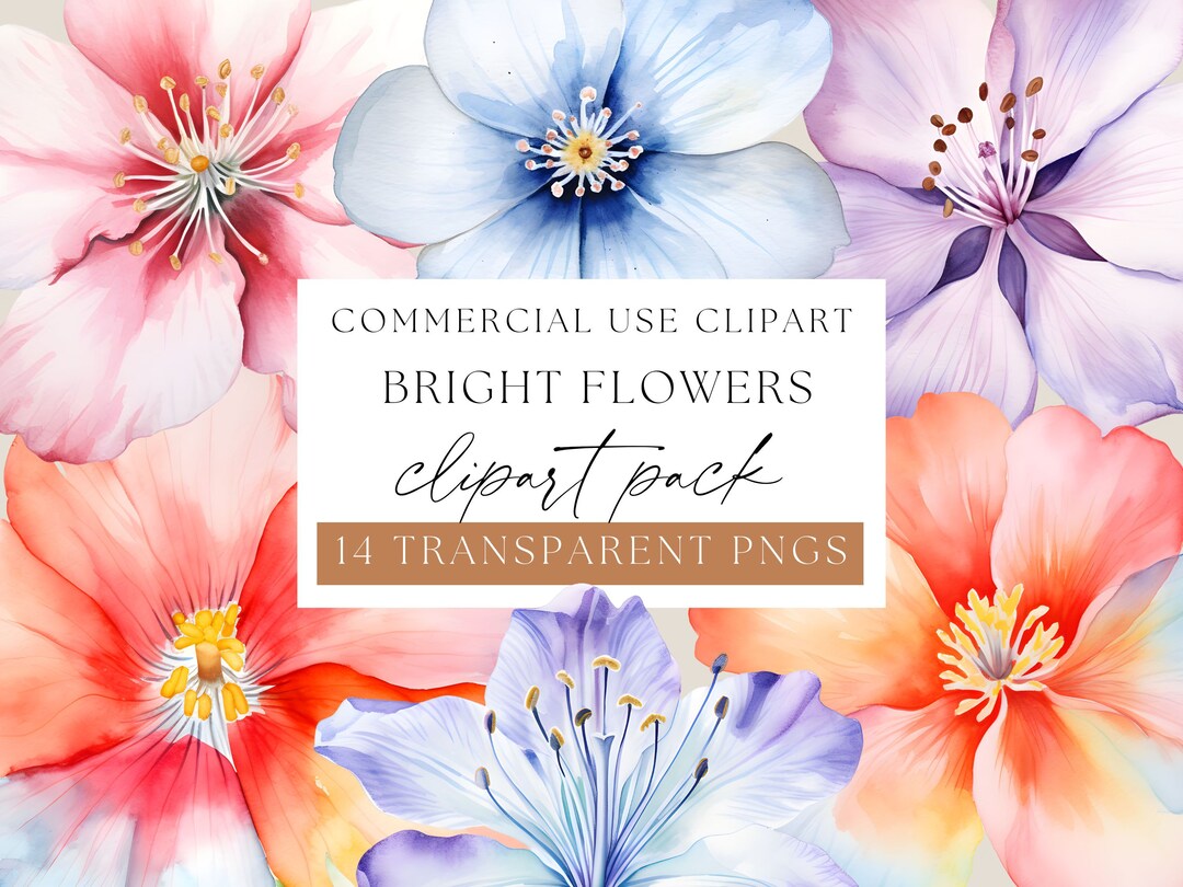 Bright Floral Botanical Clipart, Transparent Pngs, Colorful Flower Clip ...