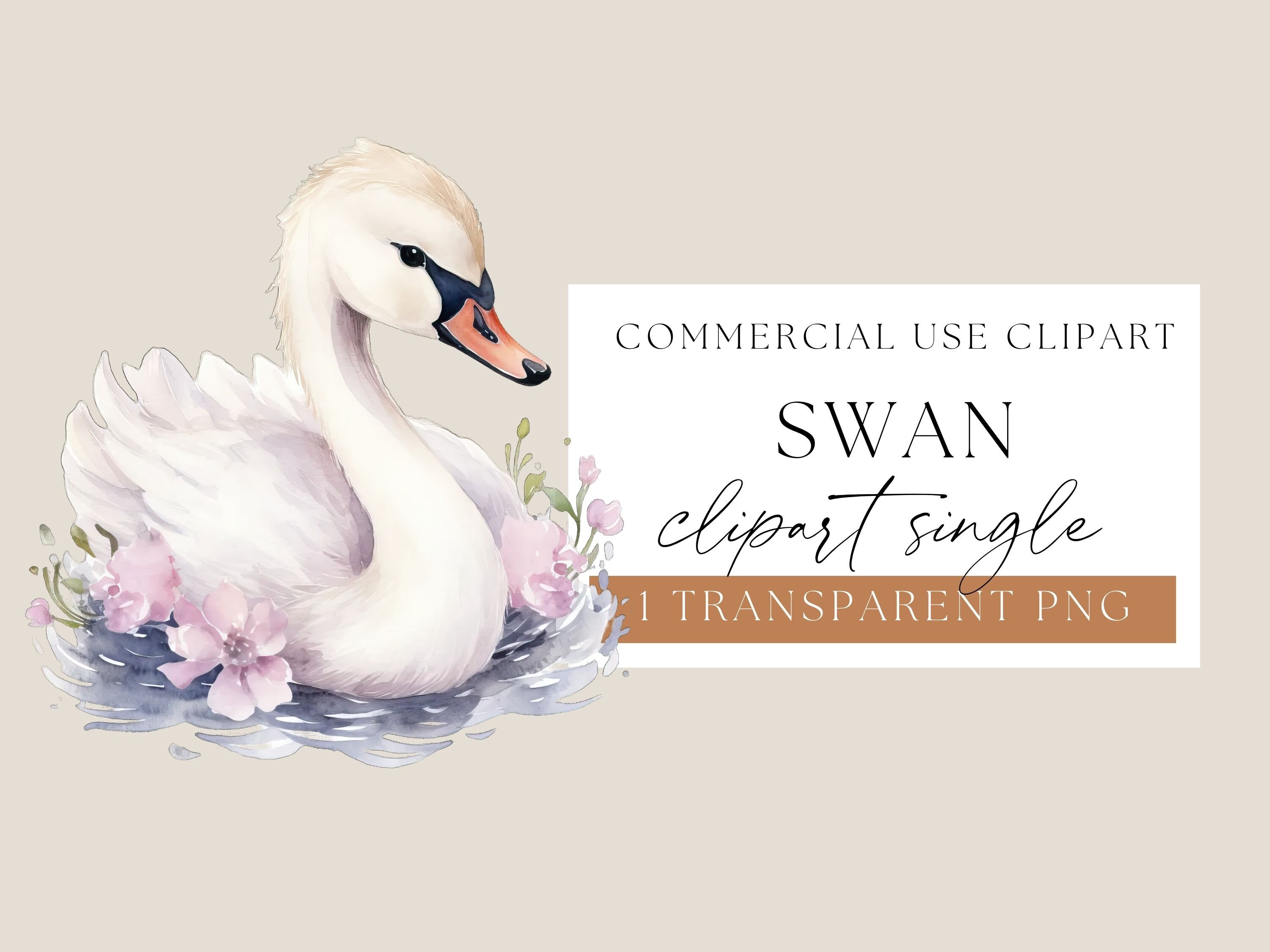 Cute Baby Swan Png, Swan Illustration, Watercolor Swan, Watercolour ...