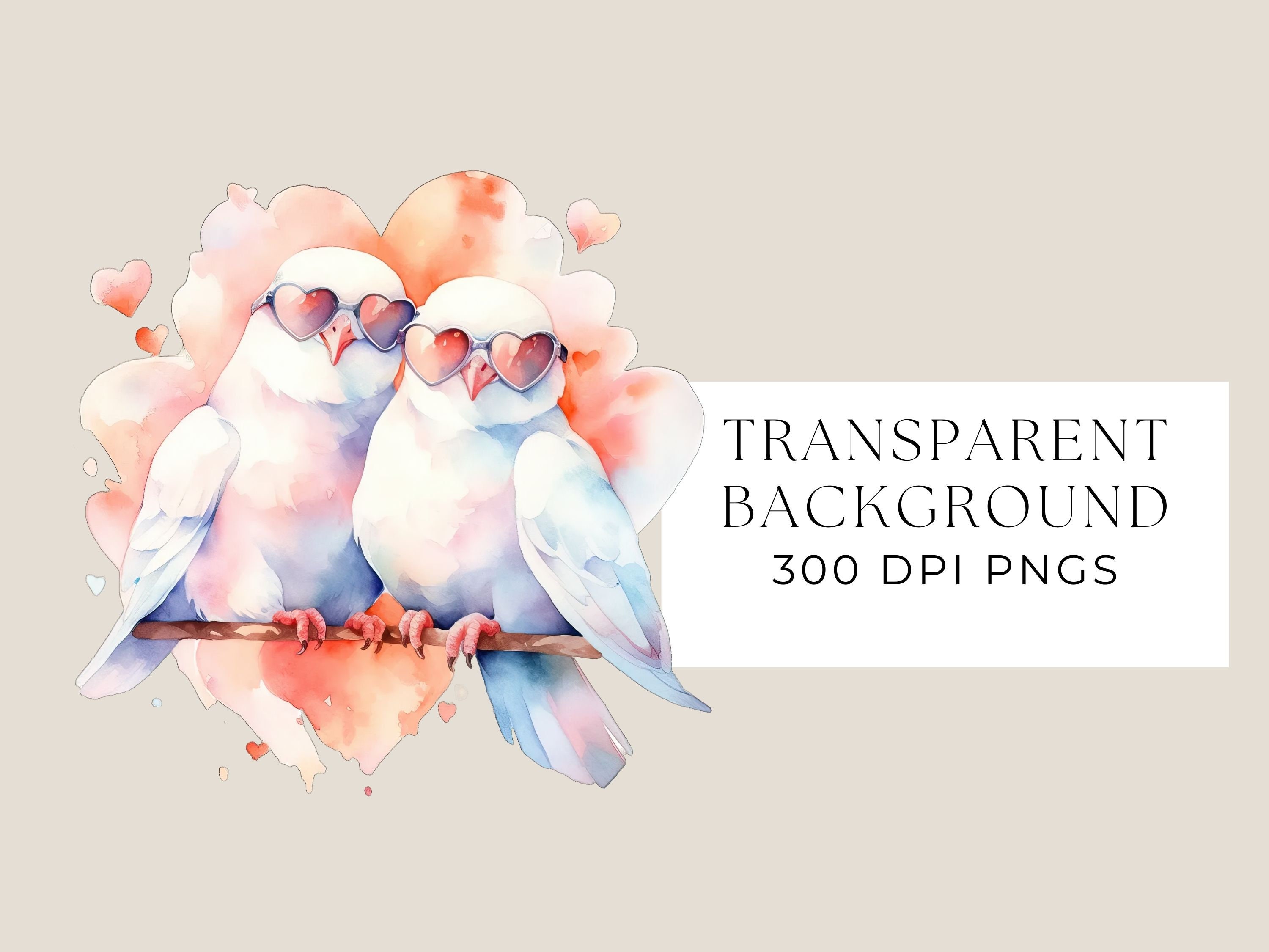 White Dove Clipart, Love Birds, Valentines Day Clip Art, Doves Wearing ...