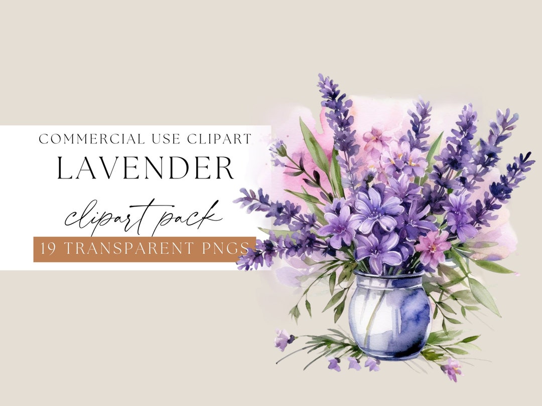 Lavender Watercolor Clipart, Transparent Pngs, Flower Clip Art ...