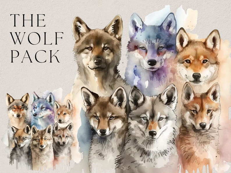 Watercolor Wolf Pack Clipart, Commercial Use Images, Transparent Wolves ...