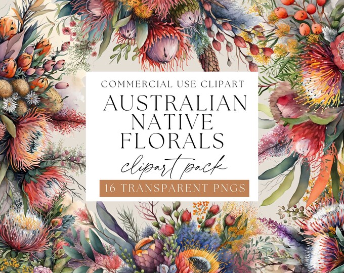 Australian Native Flowers Clipart Bundle, Watercolor Floral Bundle ...